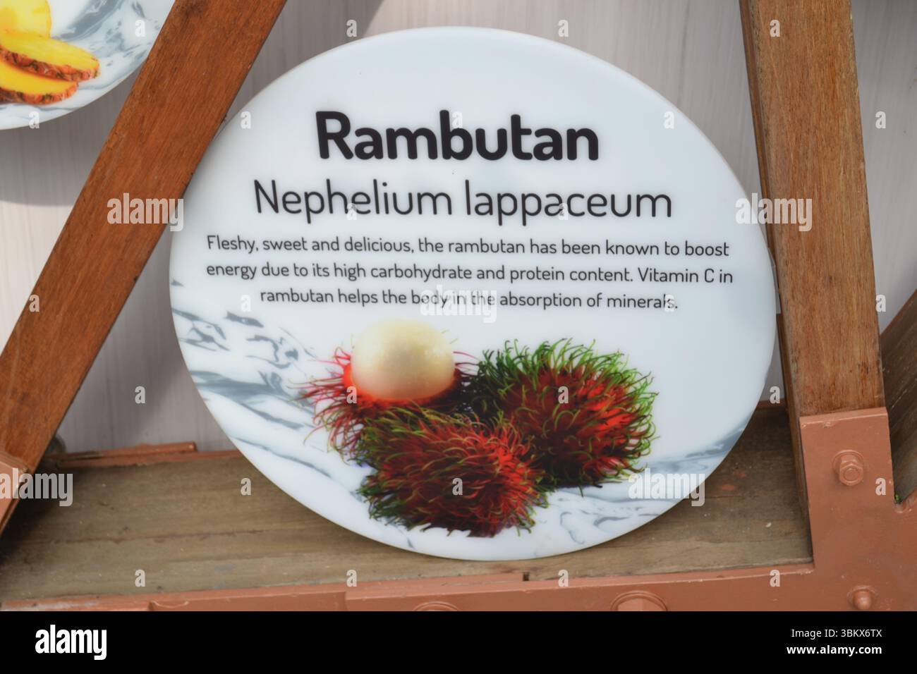 Rambutan fruit panel with drawing and description of properties and ...