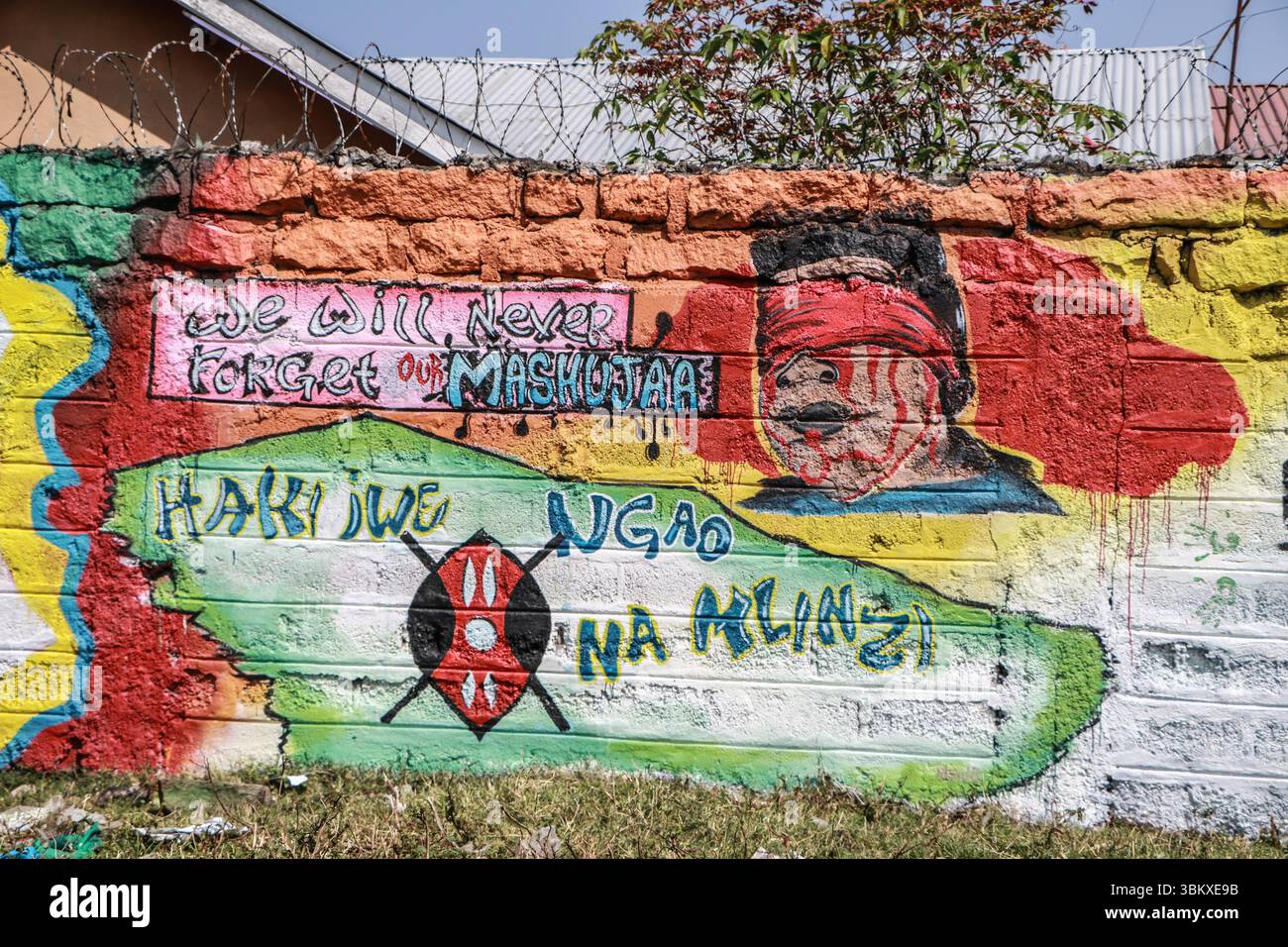 A graffiti mural marking the first anniversary of anti-government ...