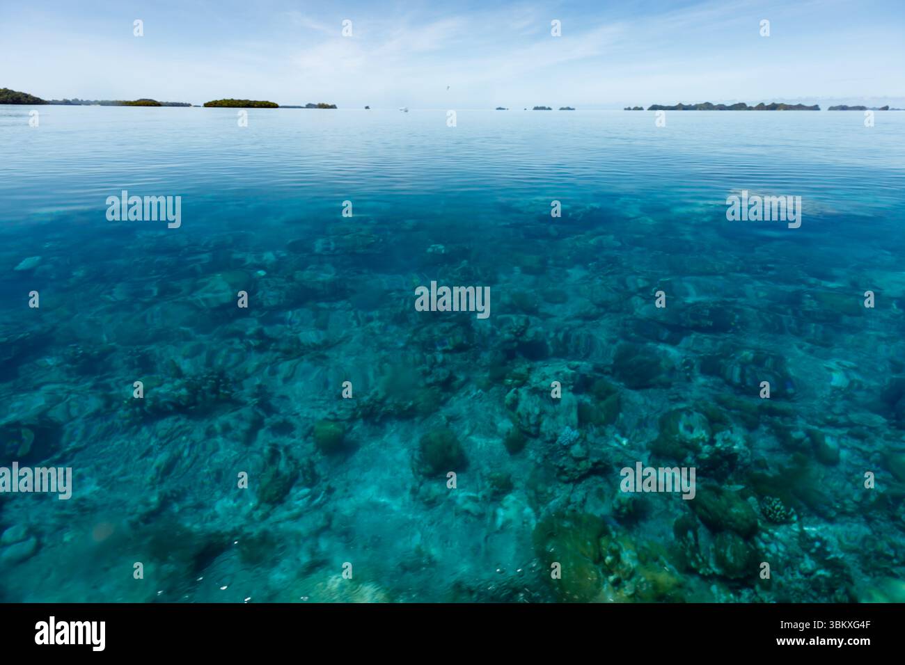 A serene view of a clear, turquoise ocean with visible coral reefs ...