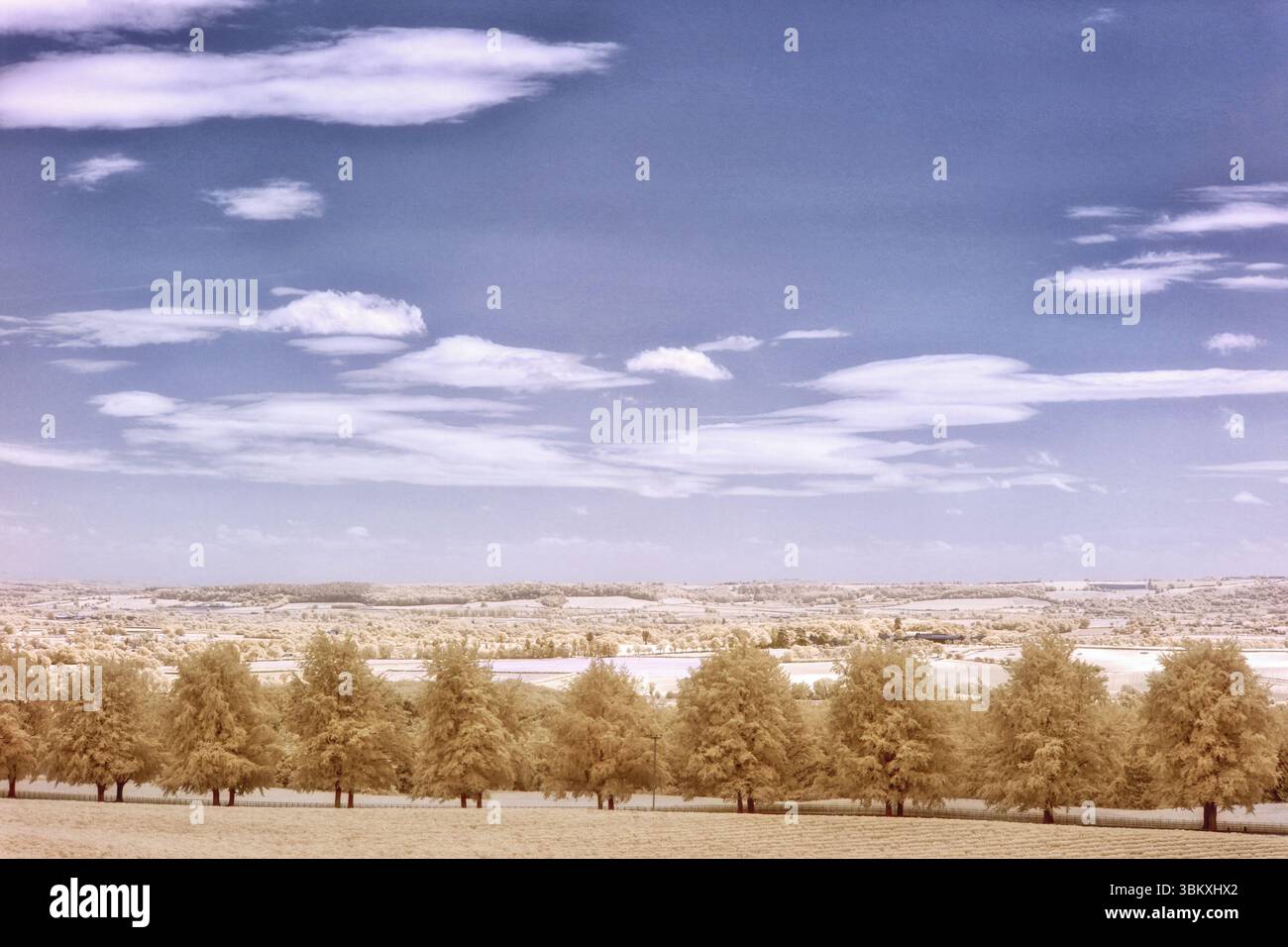 Infrared Views Across Herefordshire from Shobdon Arches. Shobdon ...