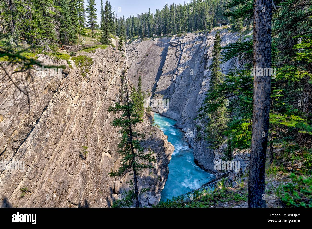 The hiking path and scenery leading to Siffleur Falls in the Kootenay ...