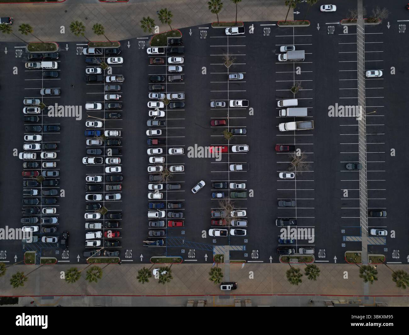 A variety of passenger cars and trucks are shown in a parking lot from ...