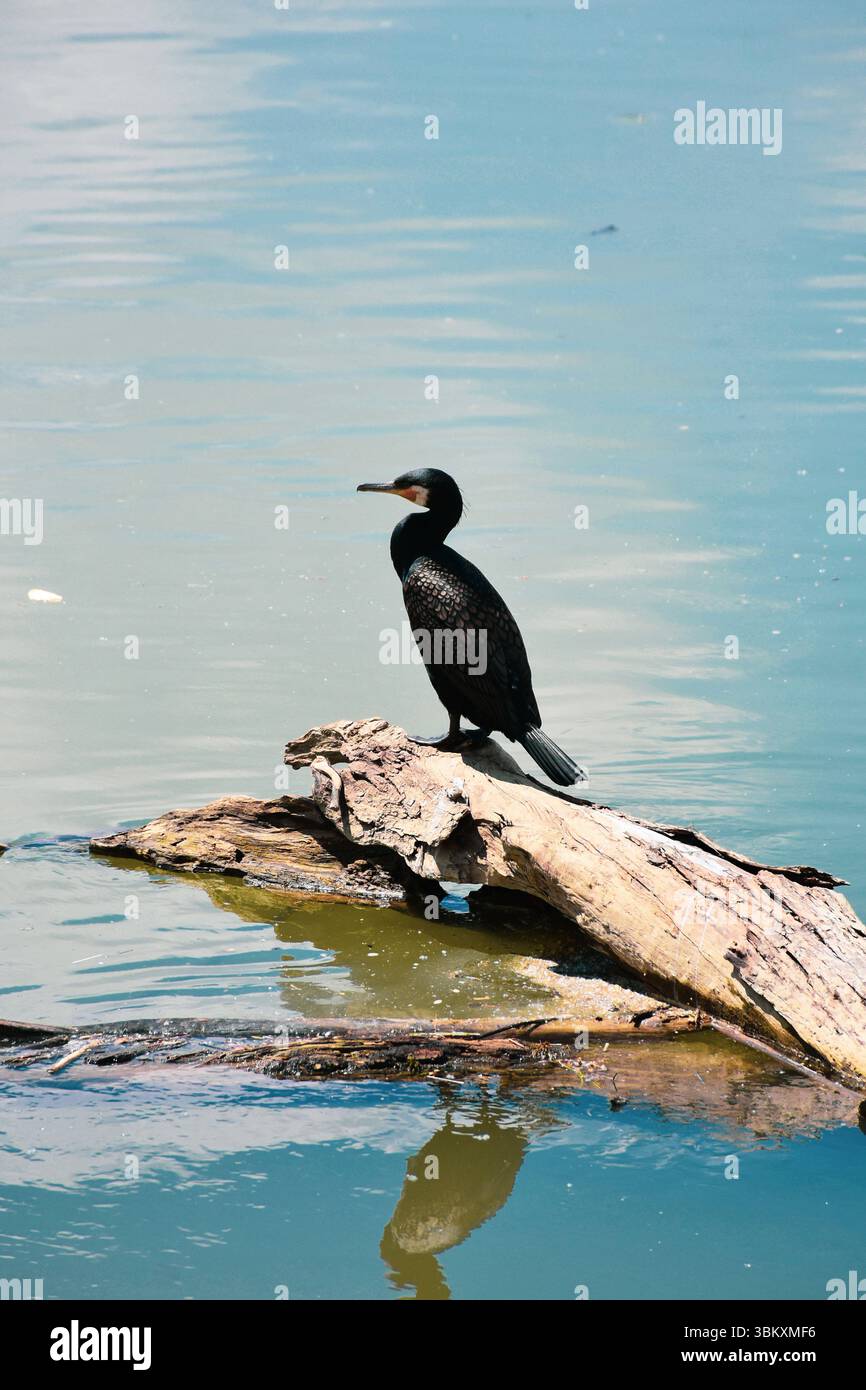 Serene river scene bright hi-res stock photography and images - Alamy