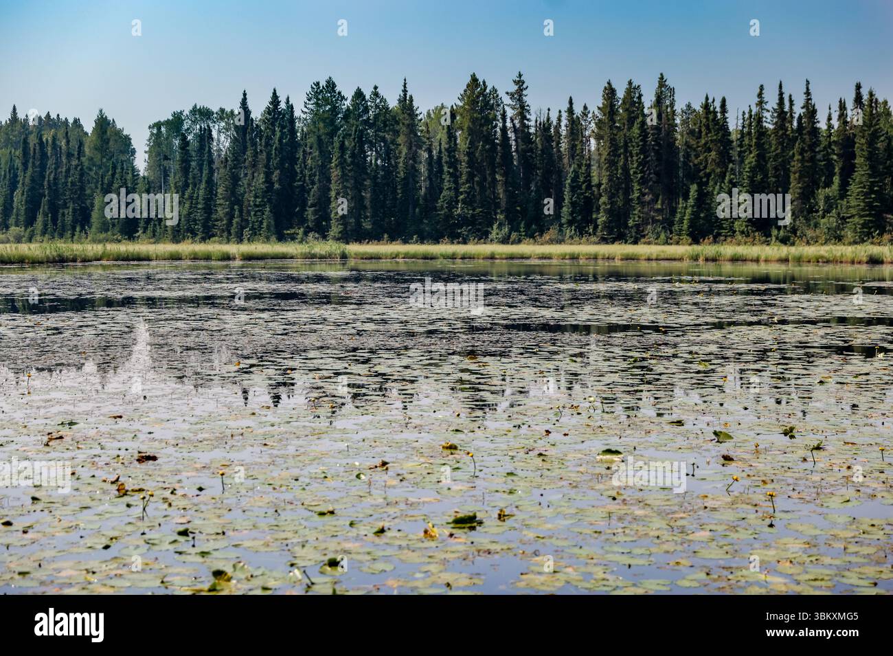 Landscapes along the trails in the Kootenay Plains Ecological Reserve ...