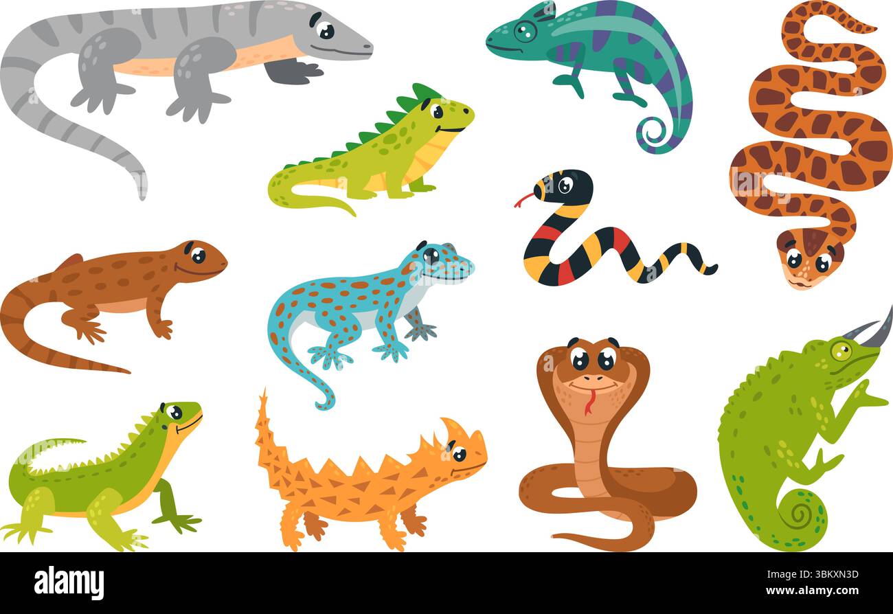 Cartoon amphibians reptiles. Exotic jungle animals, iguana snake ...