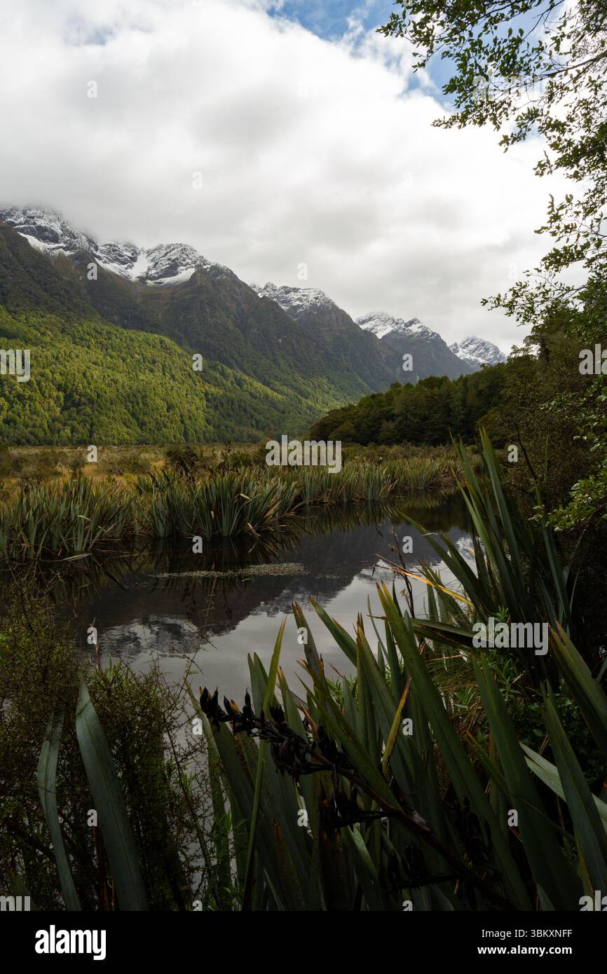 Serene alpine scene of snow-capped mountains, dense forest, and ...
