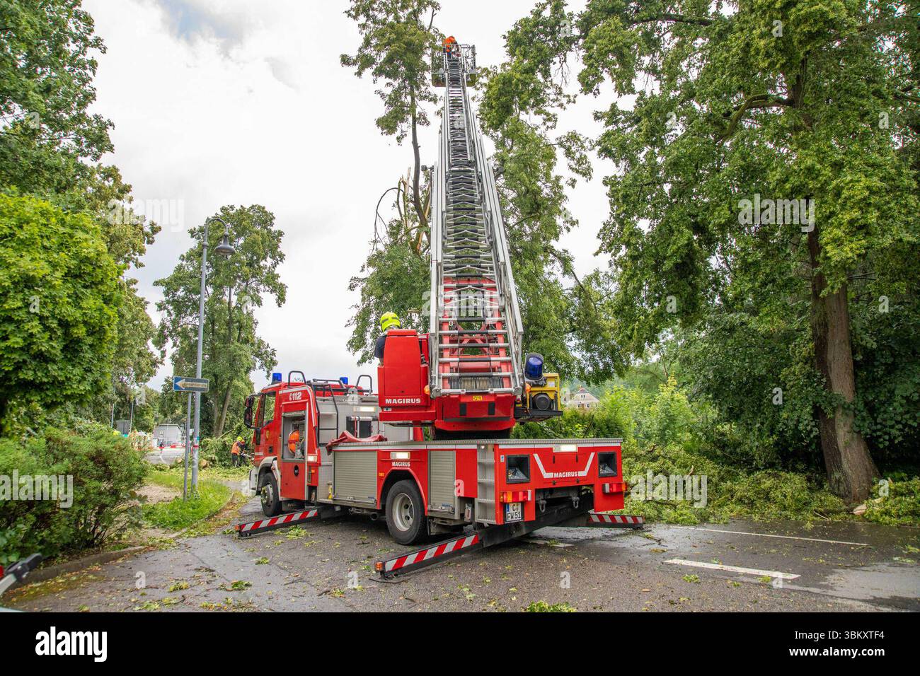 250623Unwetter News ID: EN 2025-06-23 Unwetter über Einsiedel sorgt für zahlreiche Sturmschäden ...