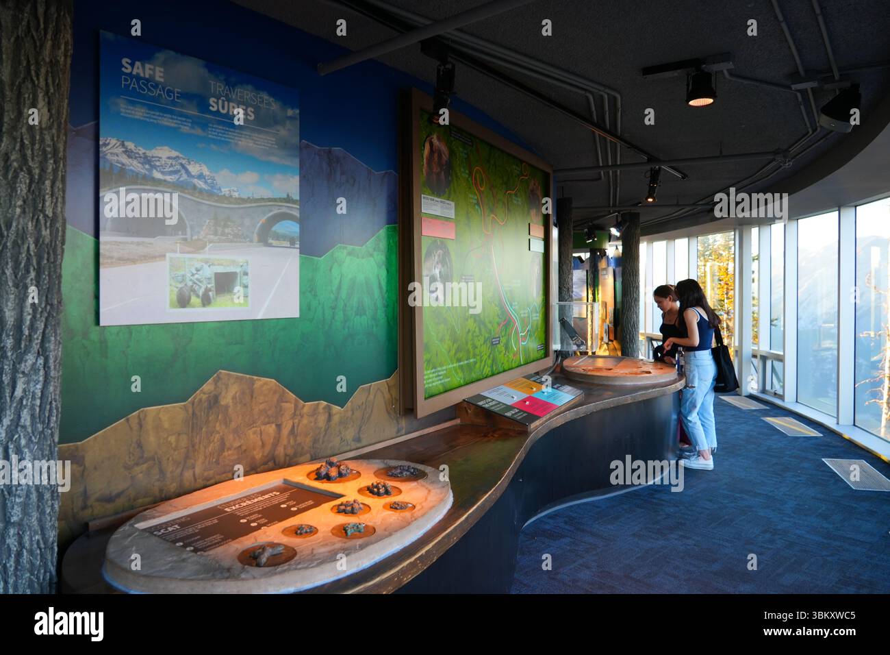 Educational exhibition in the upper terminal of the Banff Gondola cable ...