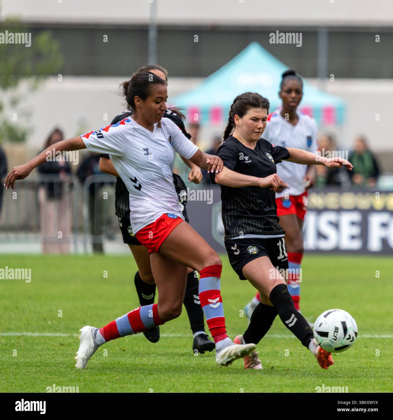 Montreal roses fc football team hi-res stock photography and images - Alamy