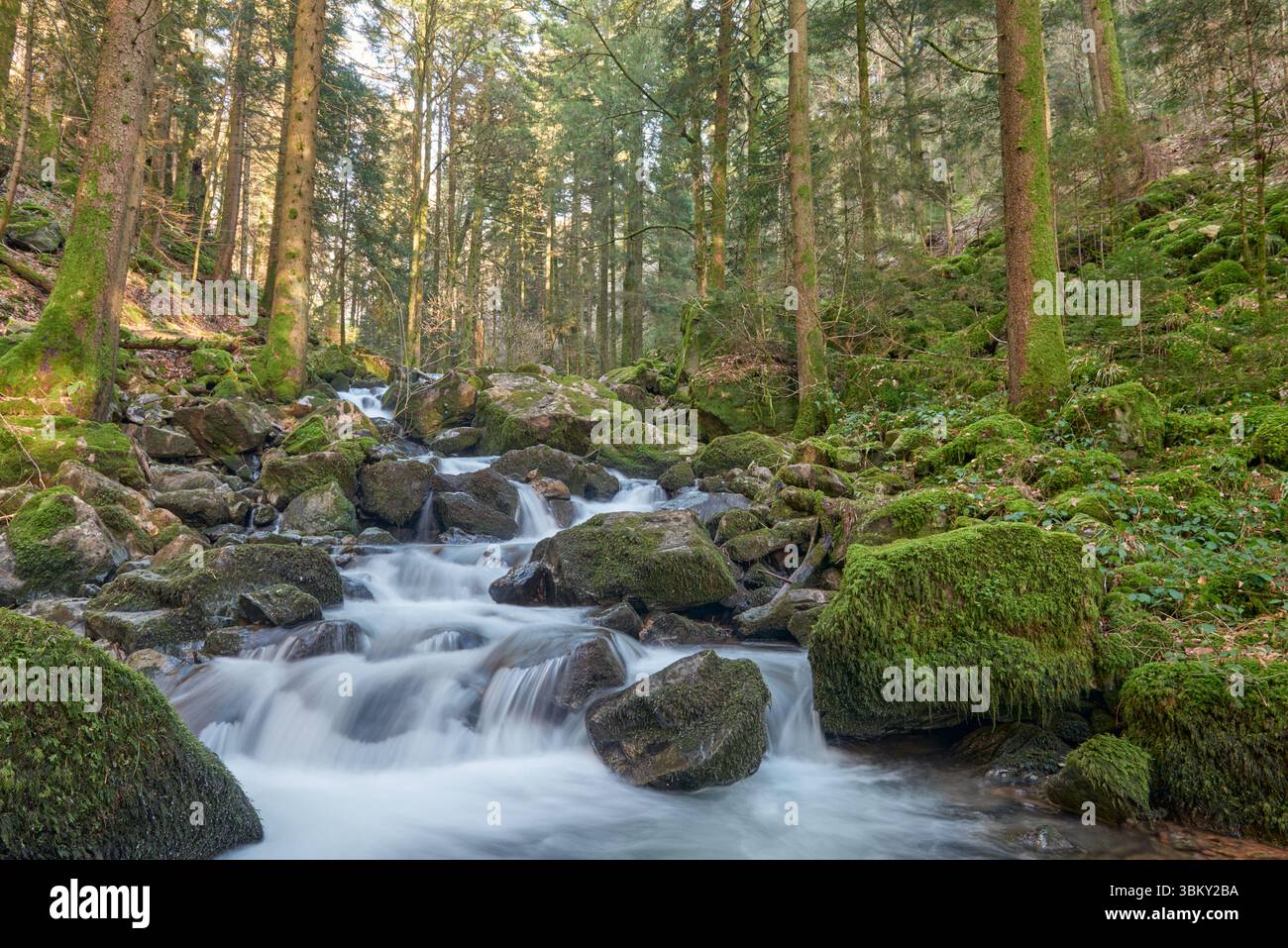 Misty Allerheiligen Waterfalls in Black Forest National Park, Germany ...