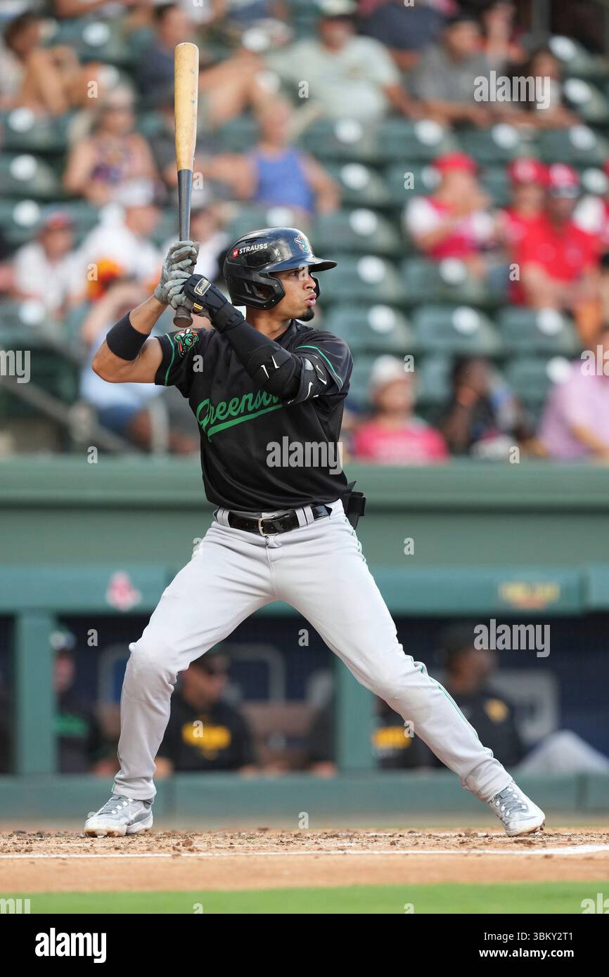 Jesus Castillo (26) of the Greensboro Grasshoppers at bat in a South ...