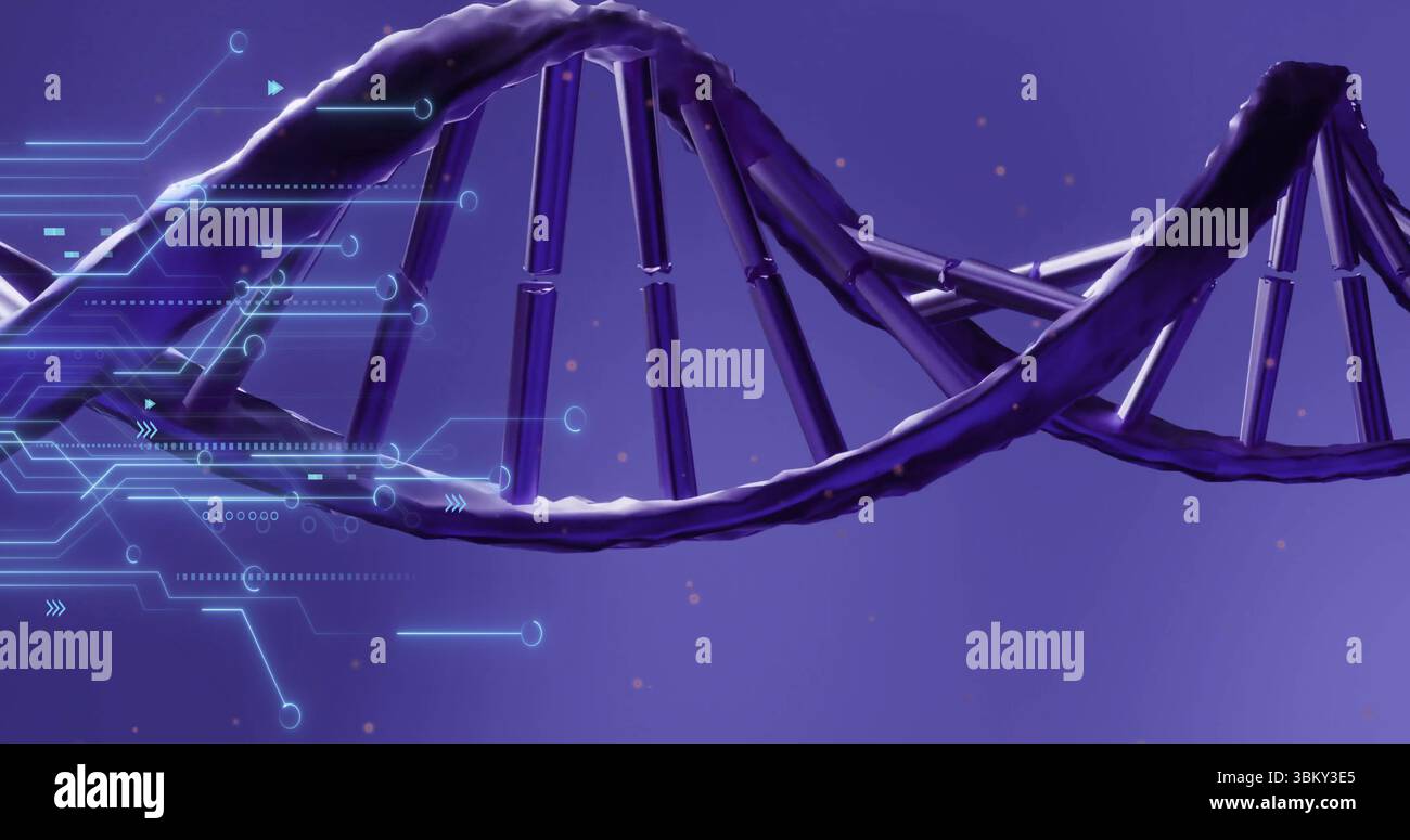 Displaying dark purple DNA double helix spanning space, with light blue circuit overlays Stock ...