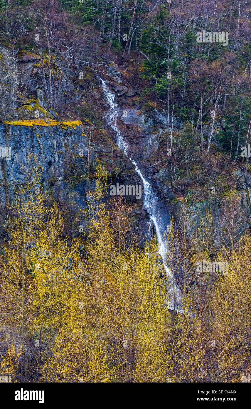 Waterfall, White Pass and Yukon Railway, Skagway,Alaska,USA Stock Photo ...