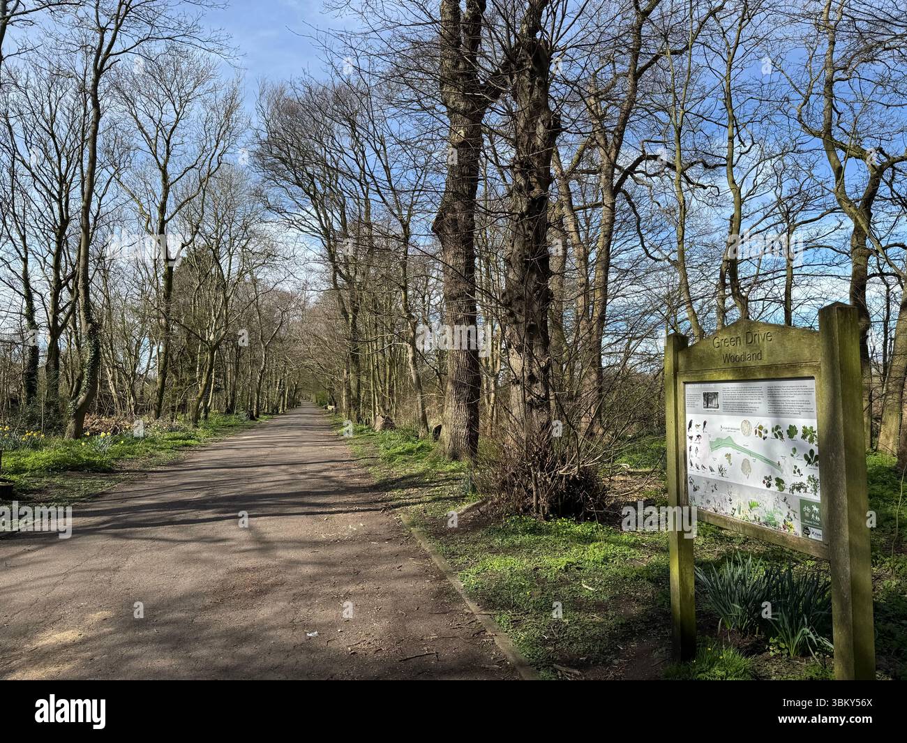Green Drive woodland, Lytham St Annes, Lancashire, England, UK Stock ...