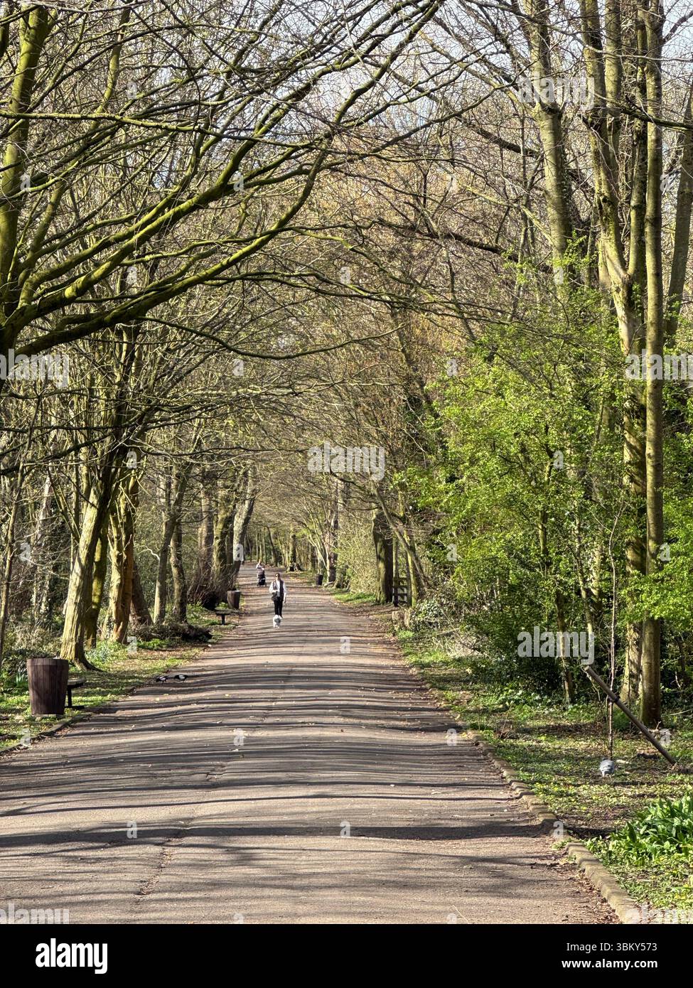 Green Drive woodland, Lytham St Annes, Lancashire, England, UK Stock ...