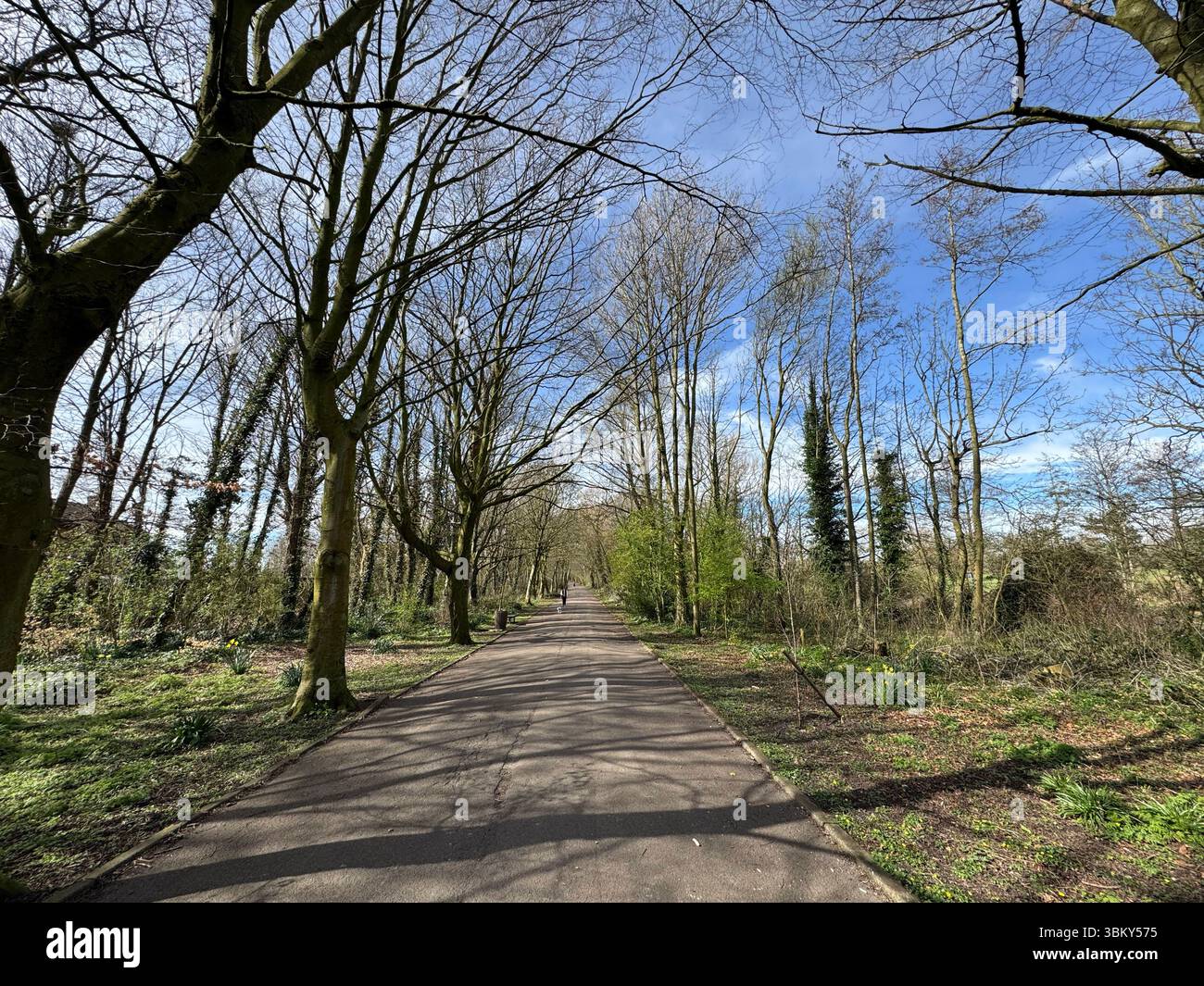Green Drive woodland, Lytham St Annes, Lancashire, England, UK Stock ...