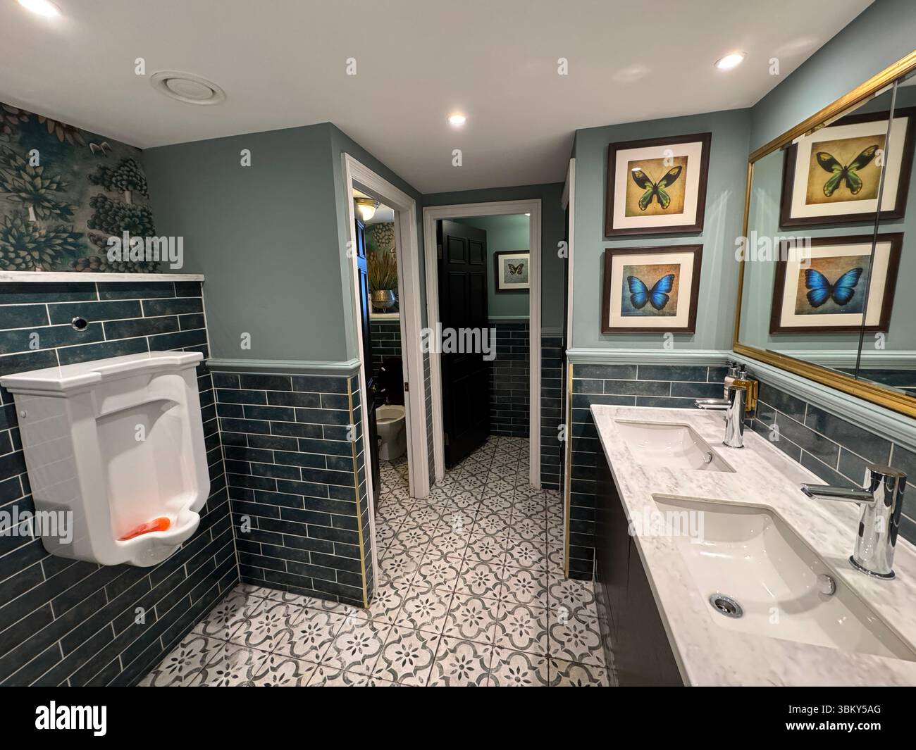 Toilet in the Pub in the County Hotel in Lytham St Annes, Lancashire ...