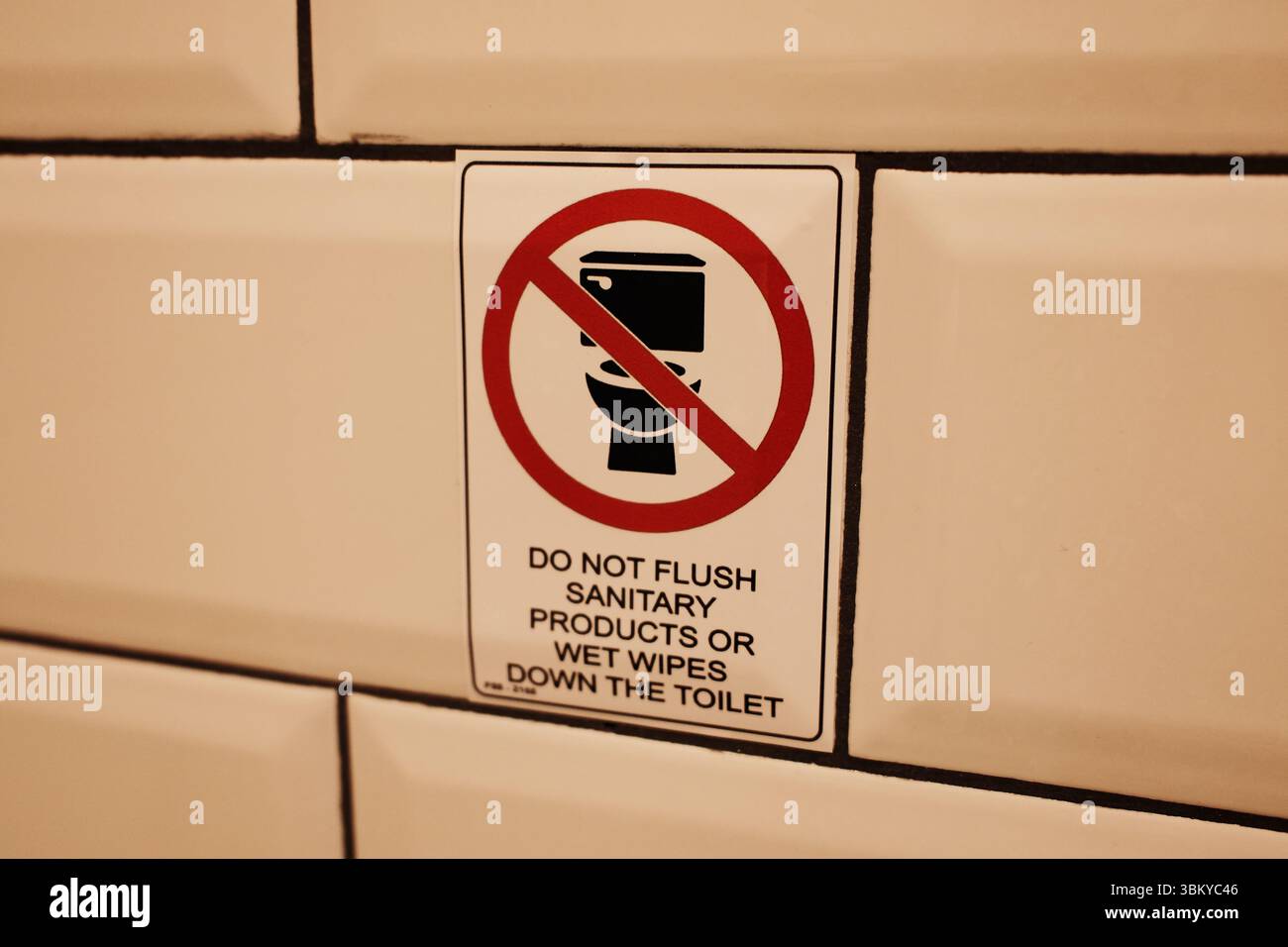 Close-up of a toilet sign warning not to flush sanitary products or wet ...
