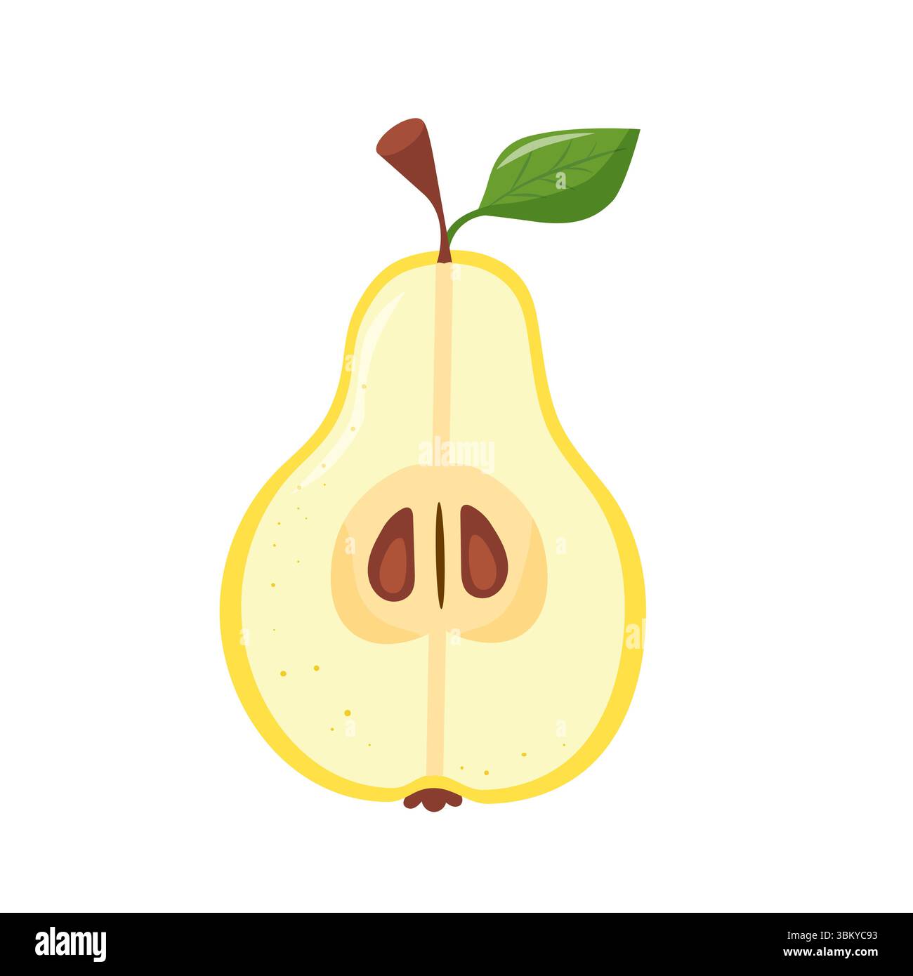 Yellow pear fruit cut in half isolated on white background. Vector ...