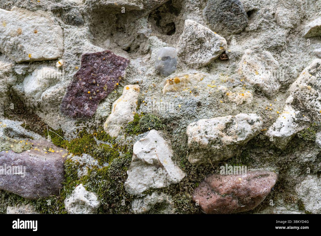 Close-up of weathered stone wall with moss and lichen growth Stock ...