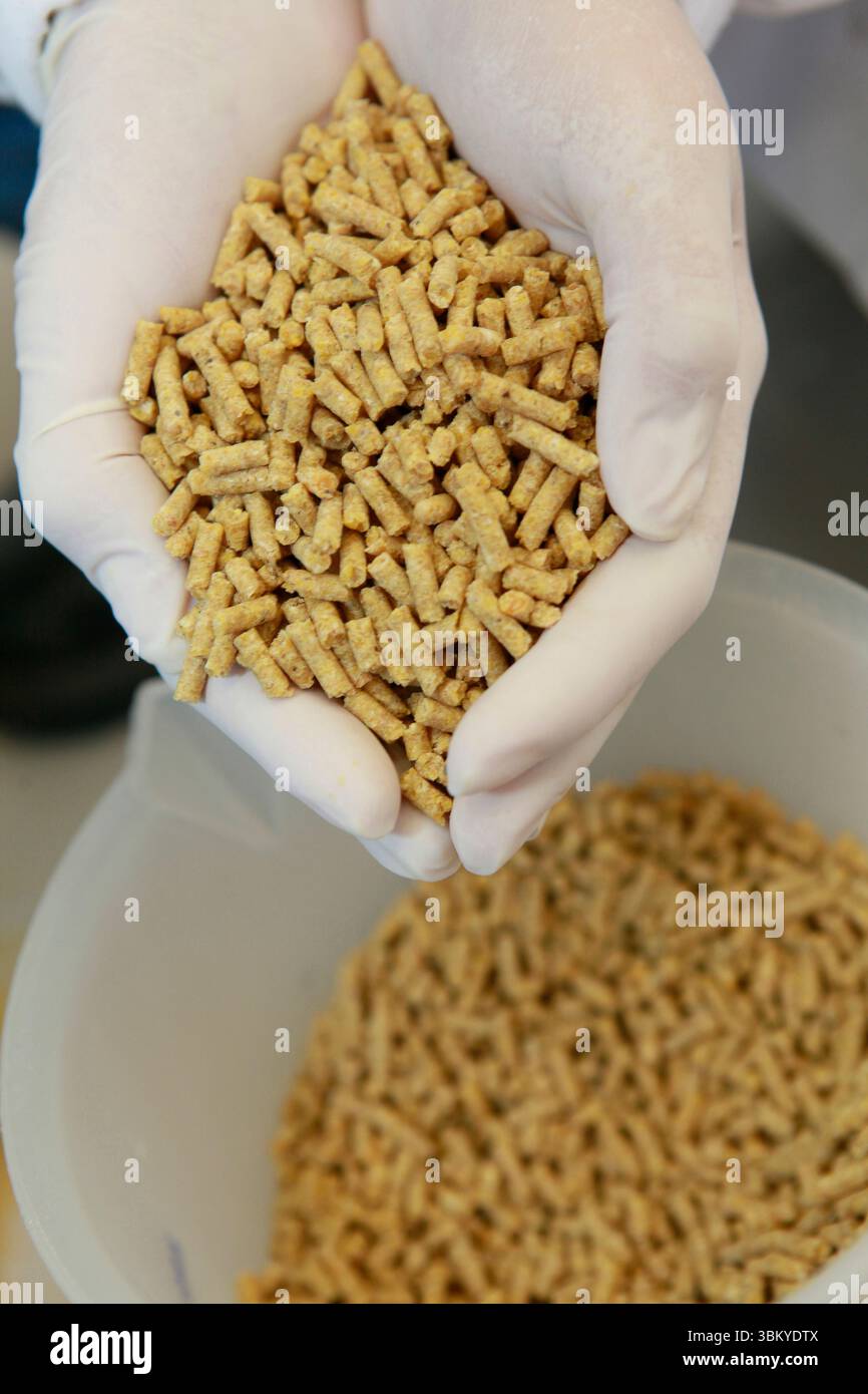 Industrial factory animal feed hi-res stock photography and images - Alamy
