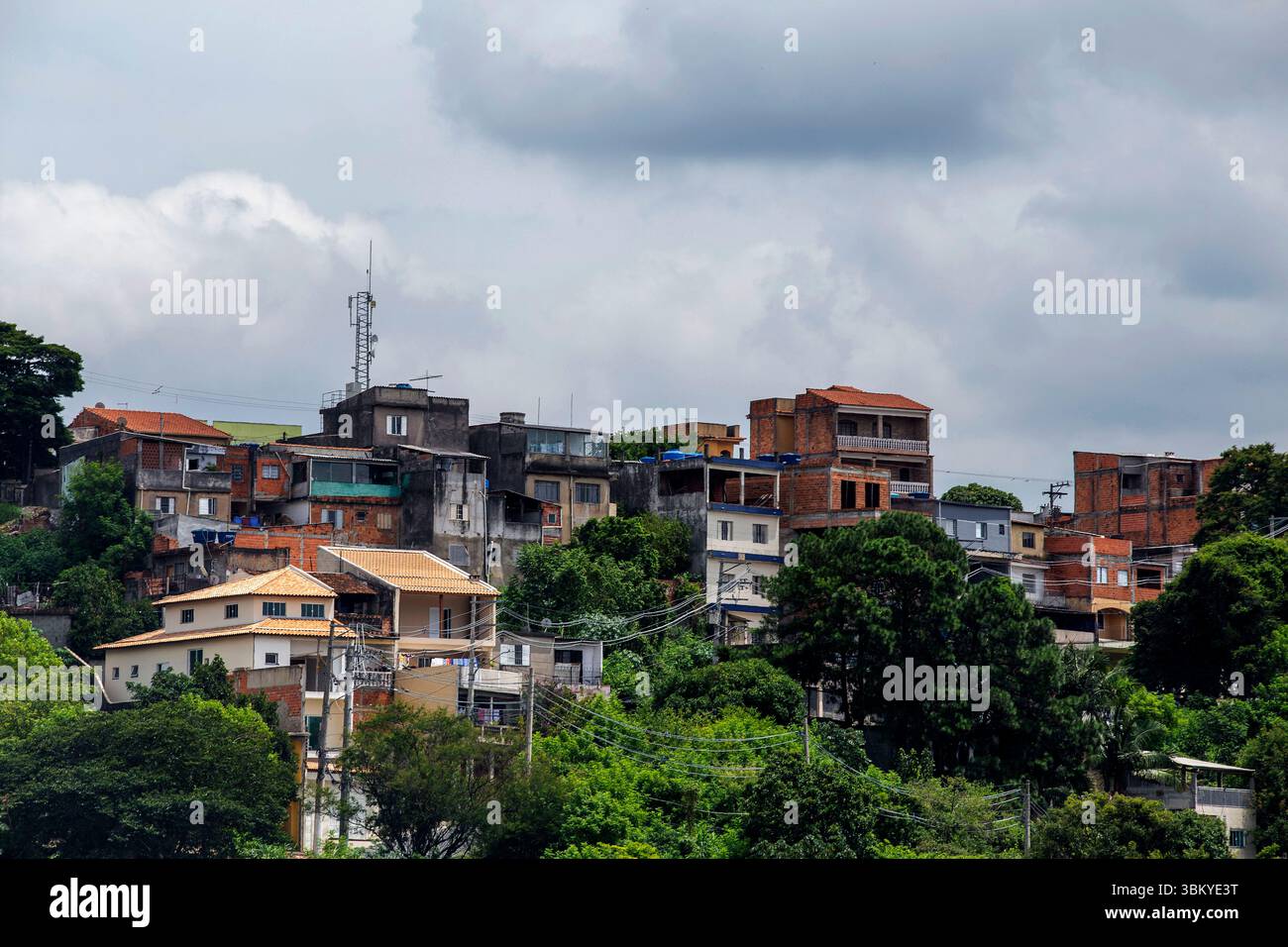 View of shacks in a favela in the middle of the Atlantic Forest ...