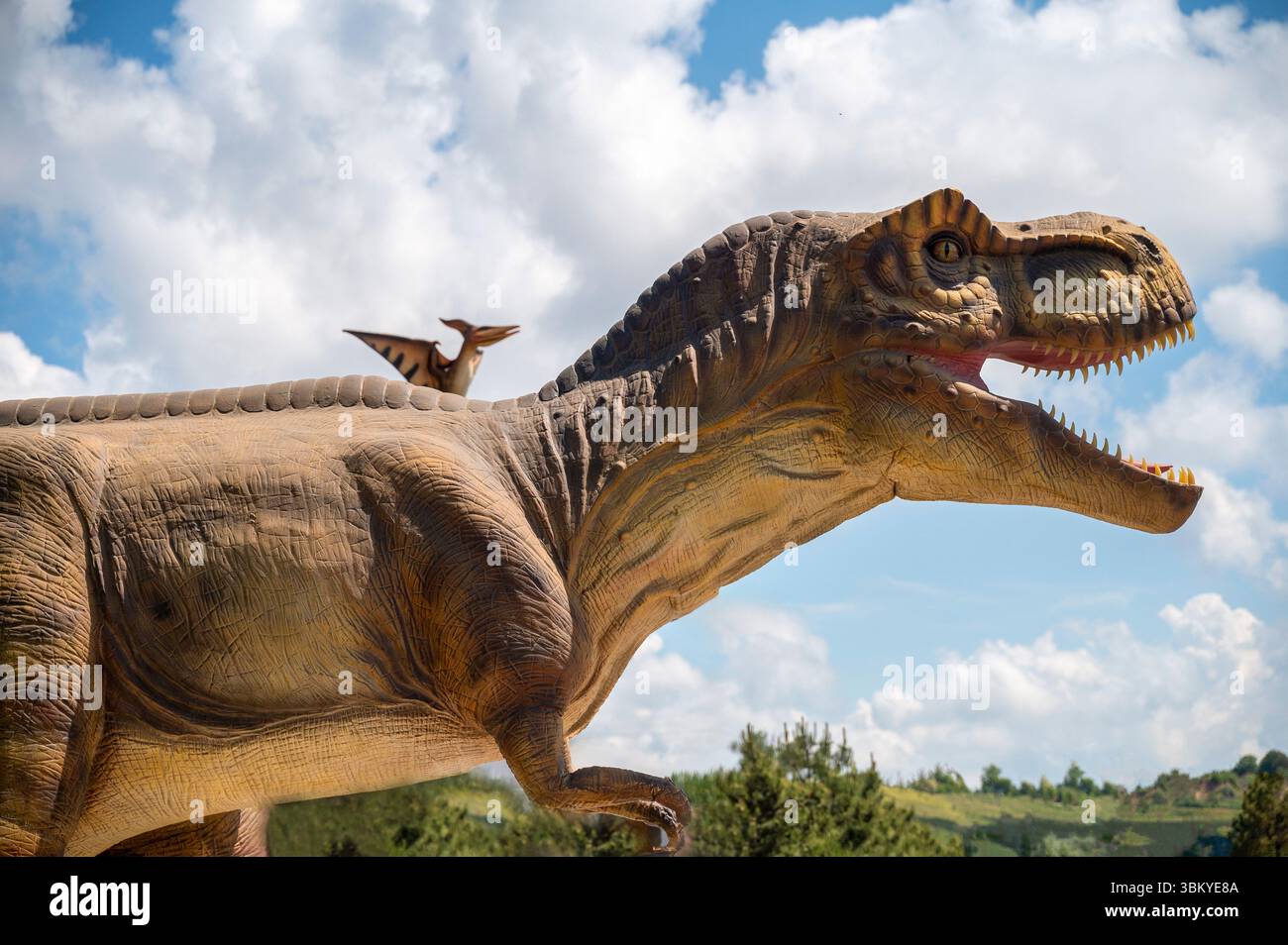Two dinosaurs. Pterodactyl and tyrannosaurus. The huge dinosaur has its ...