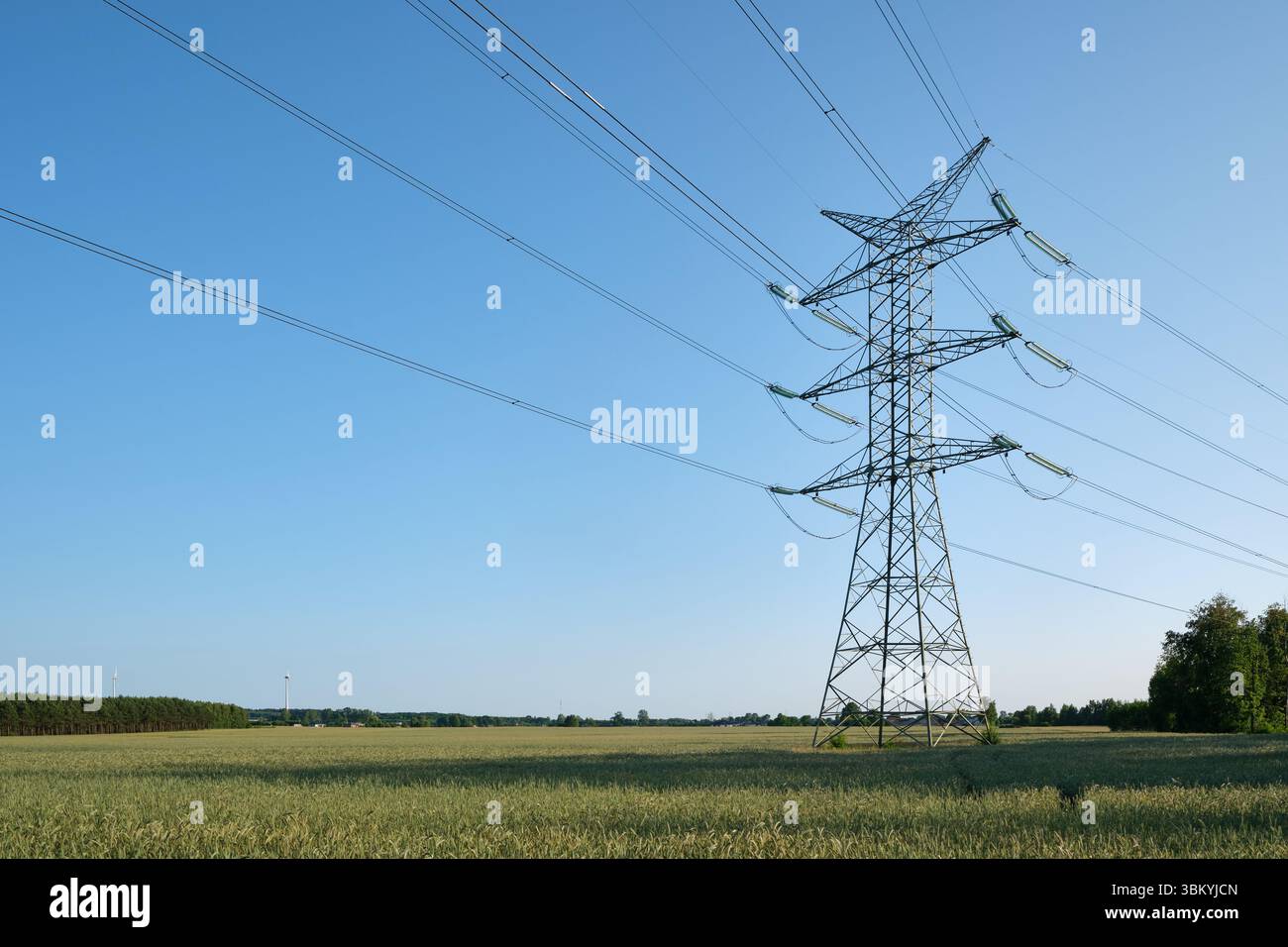 Steel electricity pylon with high-voltage power lines over a grain ...