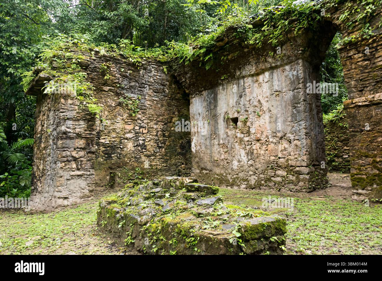 A visit at Piedras Negras Archeological Site, Petén Region, Guatemala ...