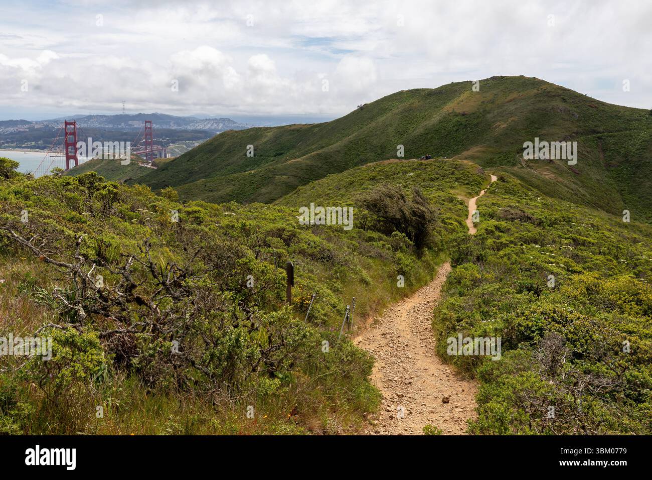 A scenic view of a hiking trail winding through lush green hills, with ...