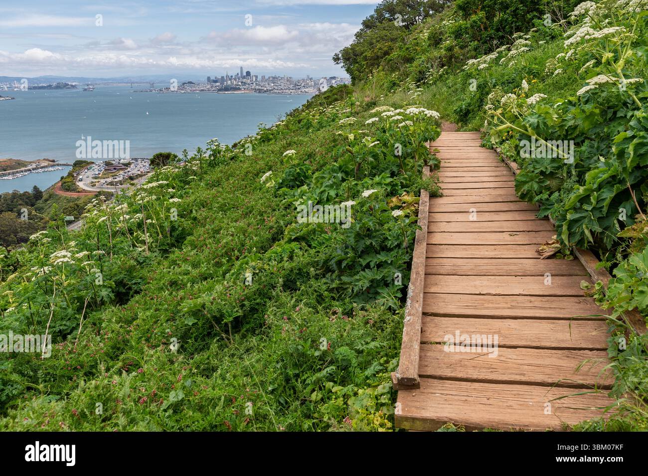 A wooden boardwalk winds along a hillside covered in lush greenery and ...