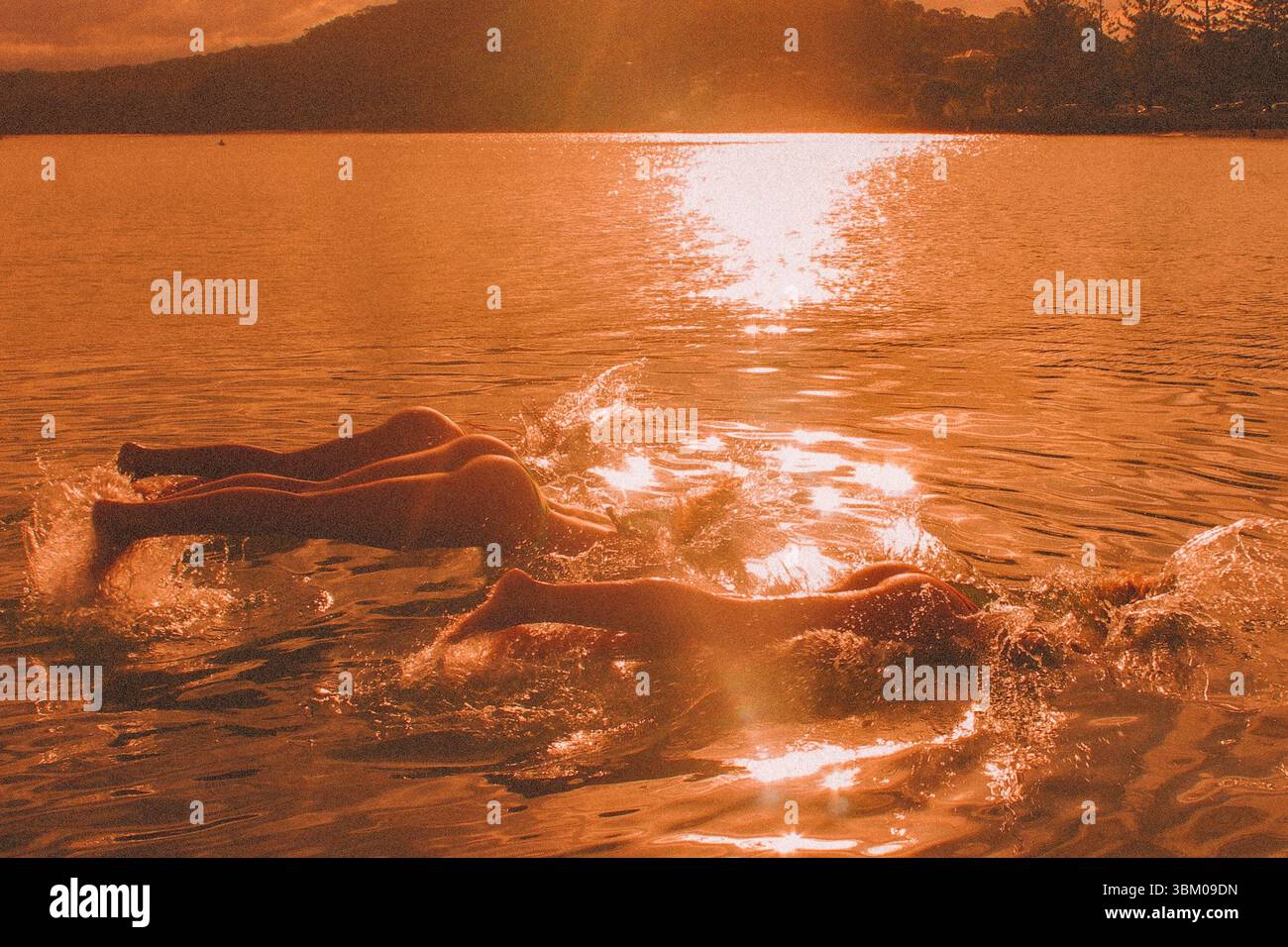 Sunset silhouettes glide through golden waters — a dreamy, nostalgic ...
