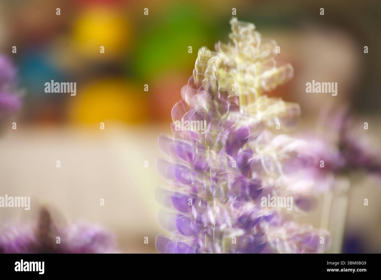 Calming color palette hi-res stock photography and images - Alamy