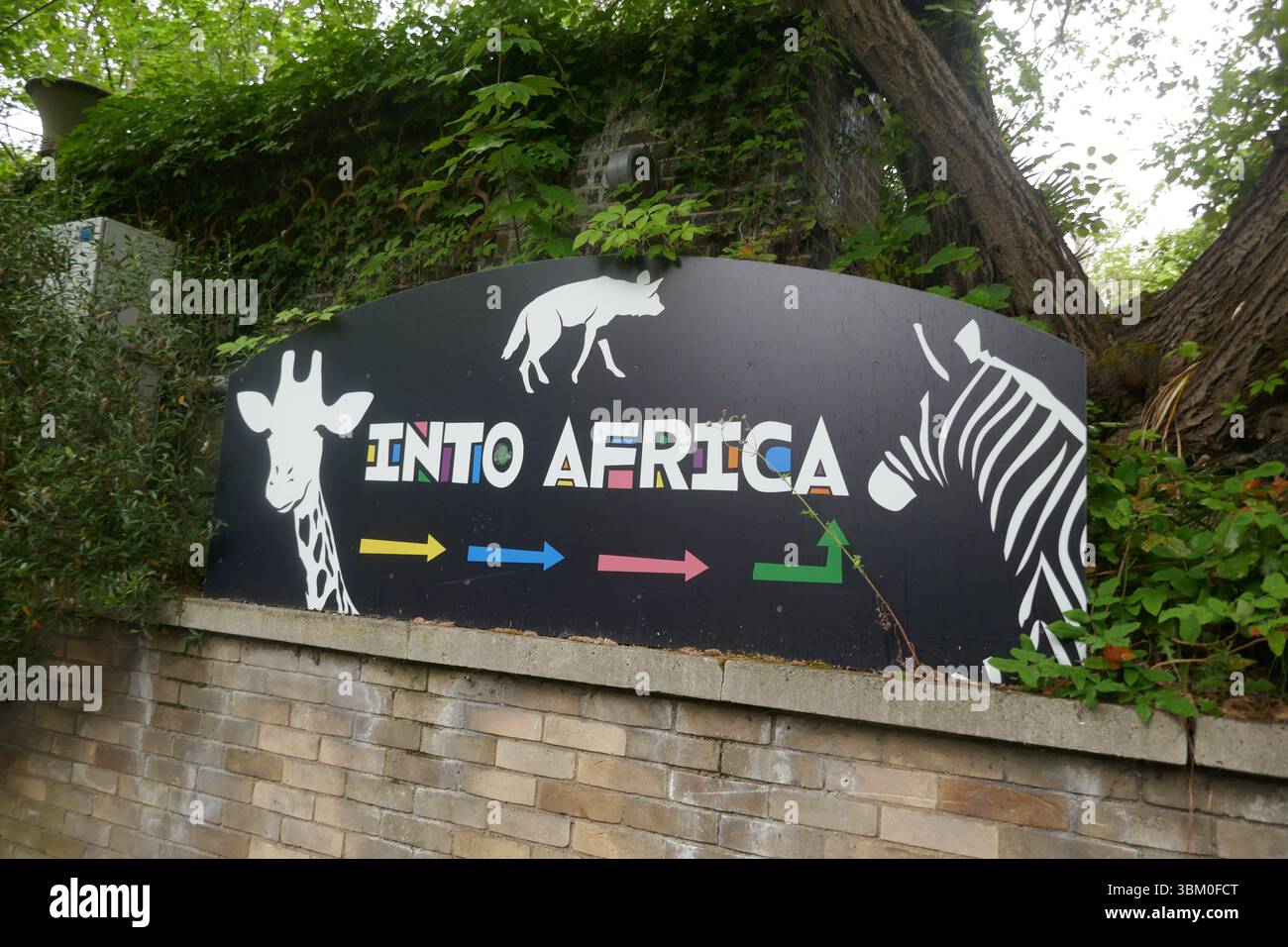 London, England 27th May 2025 Into Africa sign at ZSL London Zoo in ...