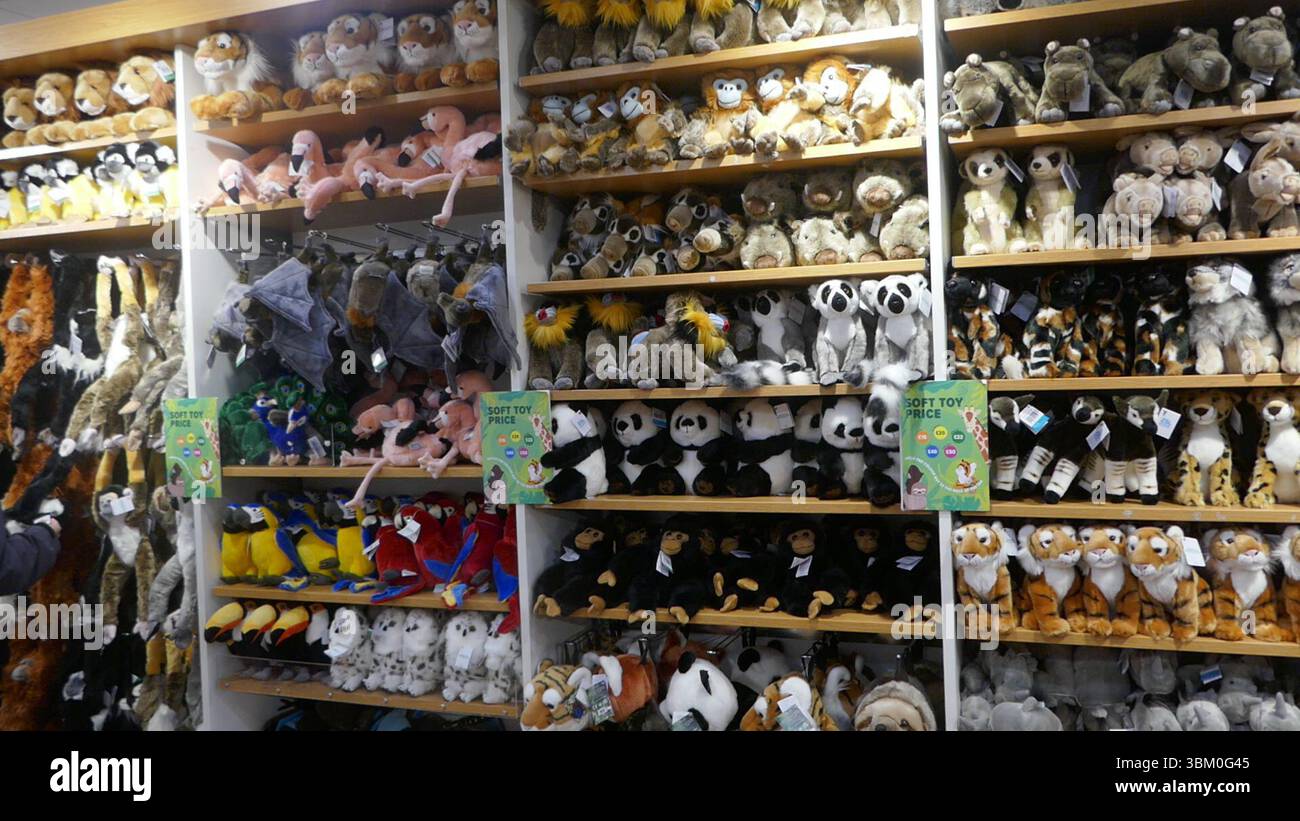 London, England 27th May 2025 Plush Stuffed Animals in Gift Shop at ZSL ...