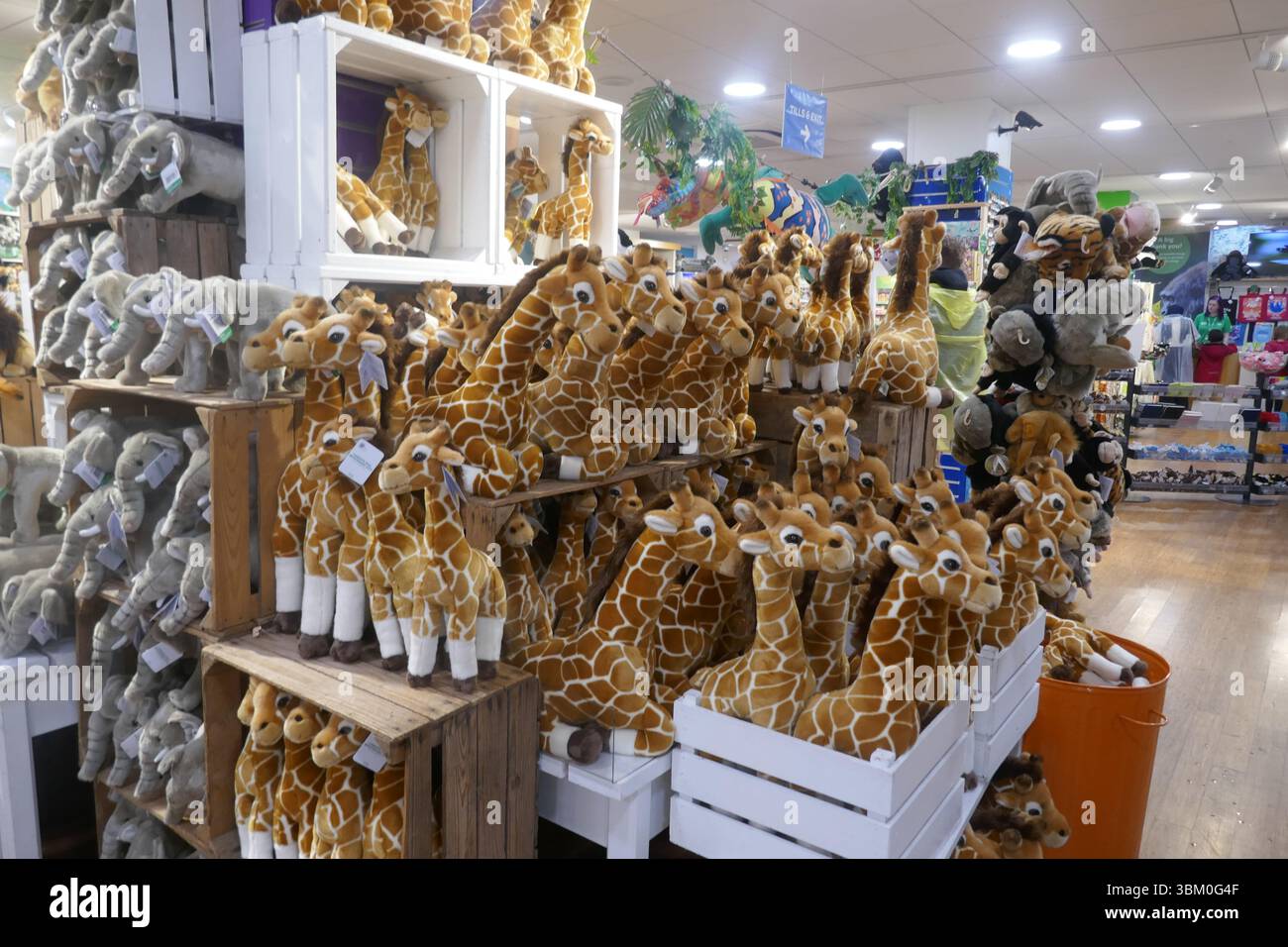 London, England 27th May 2025 Girafffes and Elephants Plush Stuffed ...