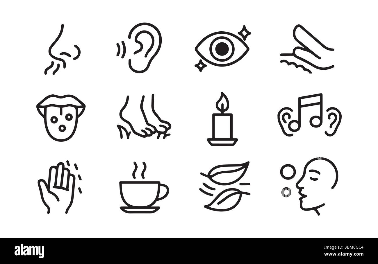 Exploring the five senses an illustrative journey through perception ...