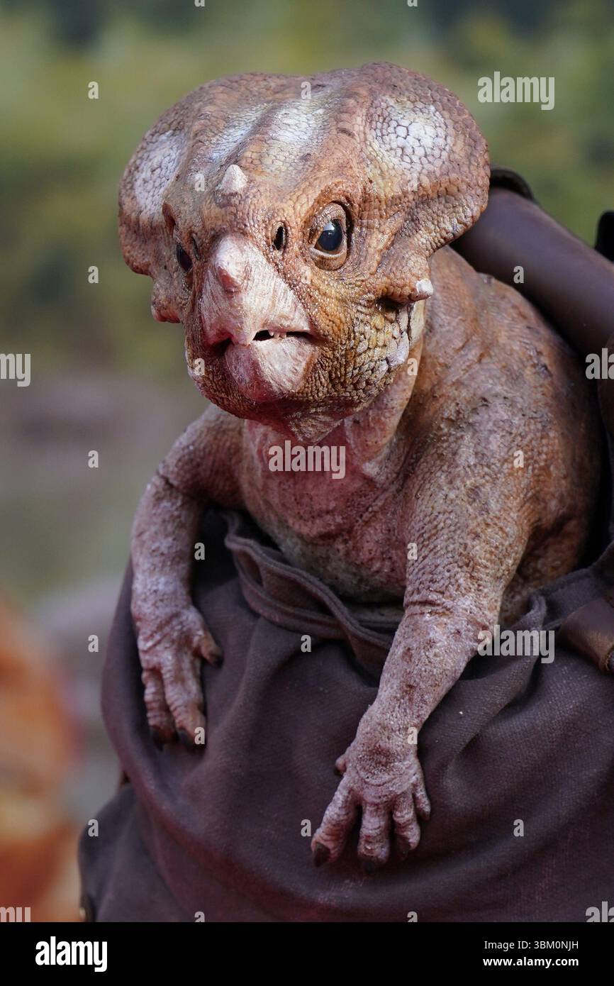 Ny. 23rd June, 2025. Dinosaur character Dolores the Aquilops at ...