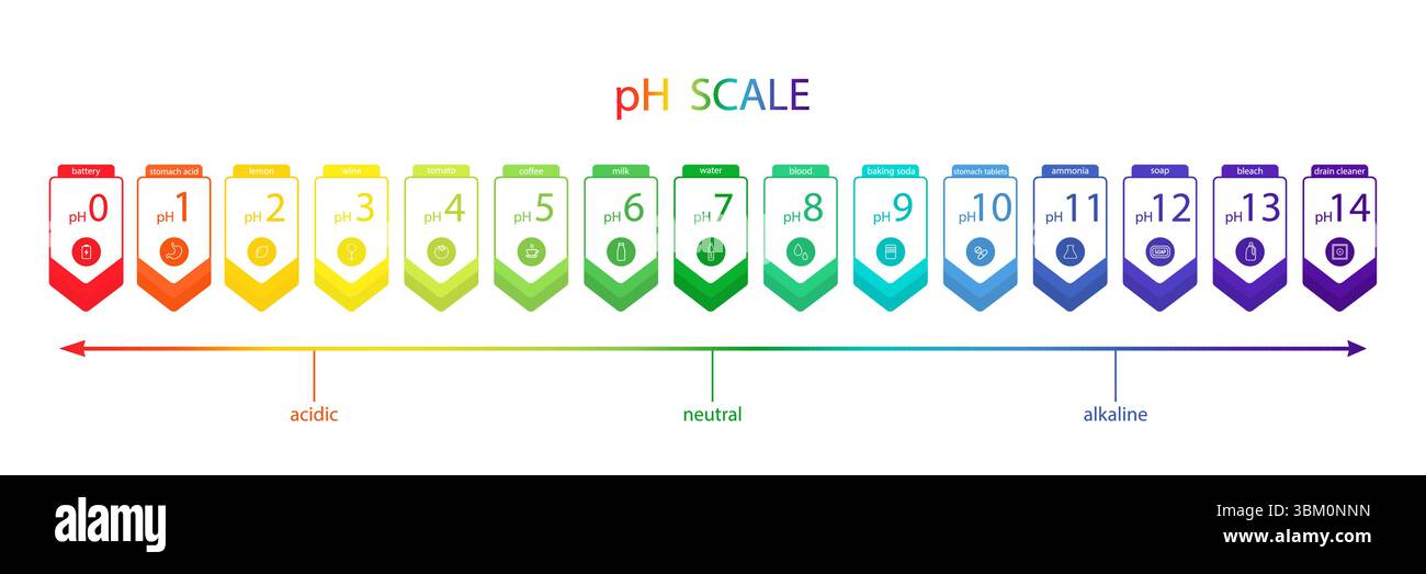 PH value Scale chart. Liquid level, litmus color change. Ph food ...