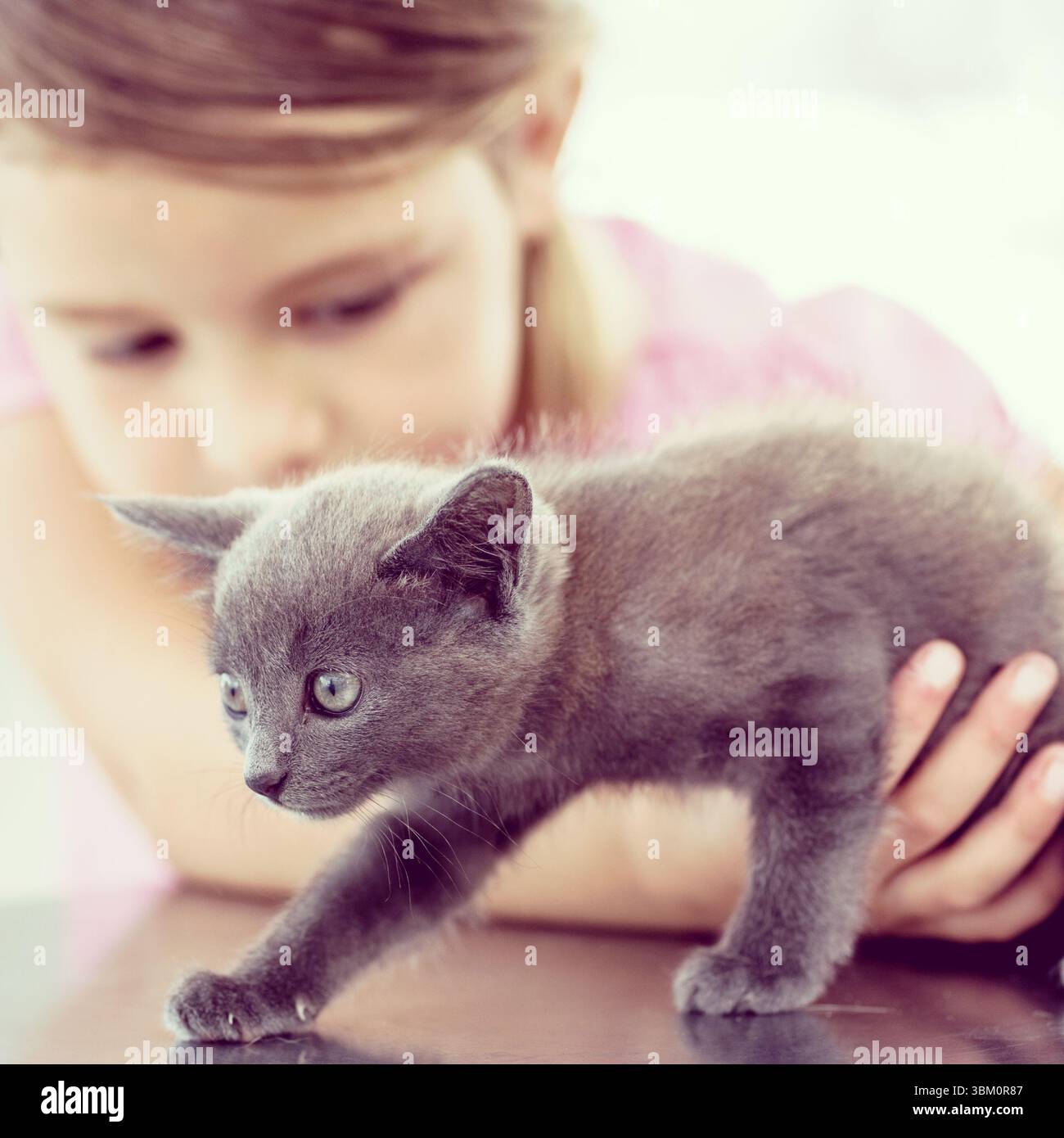 Girl playing kitten table hi-res stock photography and images - Alamy