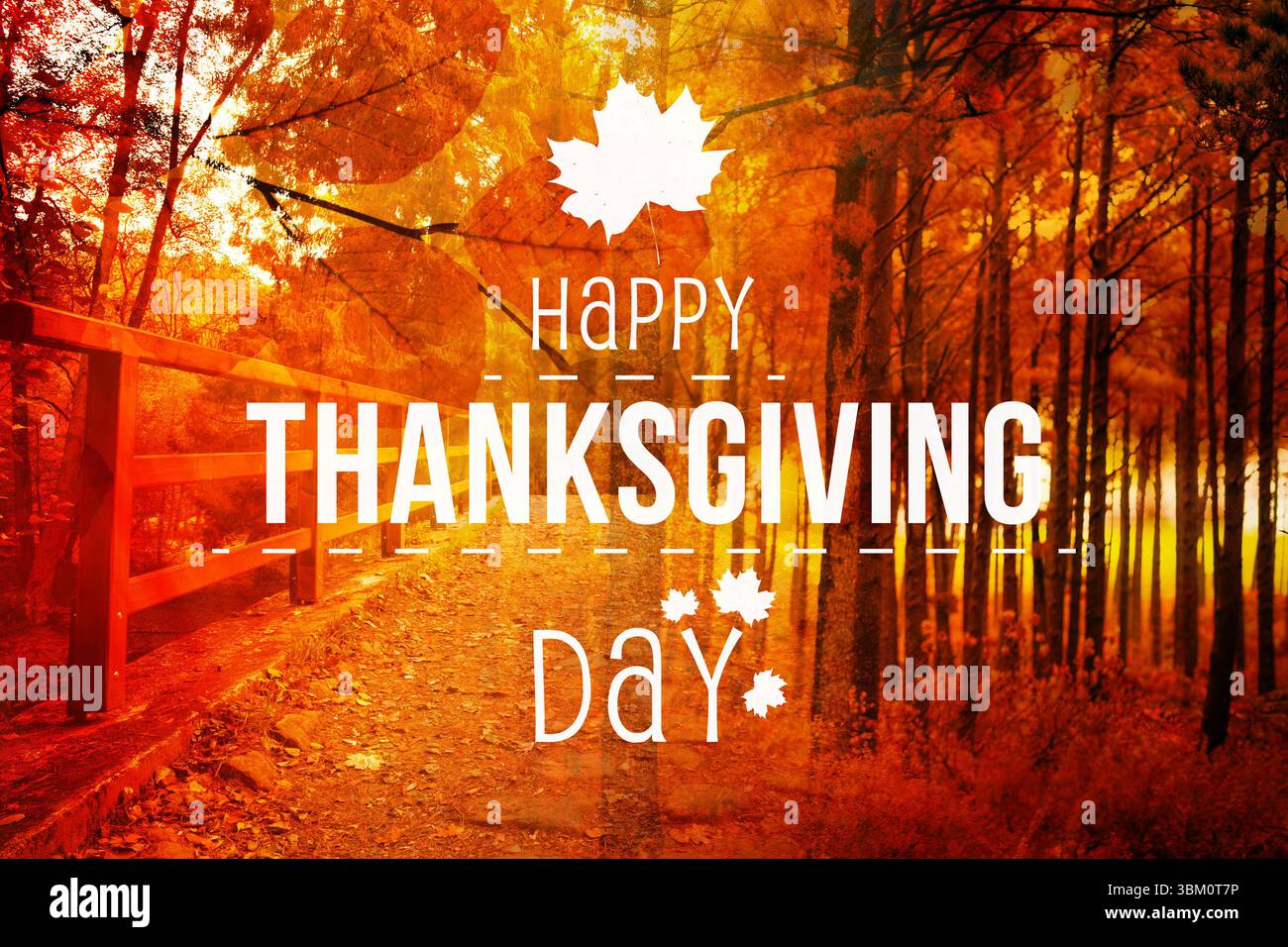 Thanksgiving text against forest hi-res stock photography and images ...
