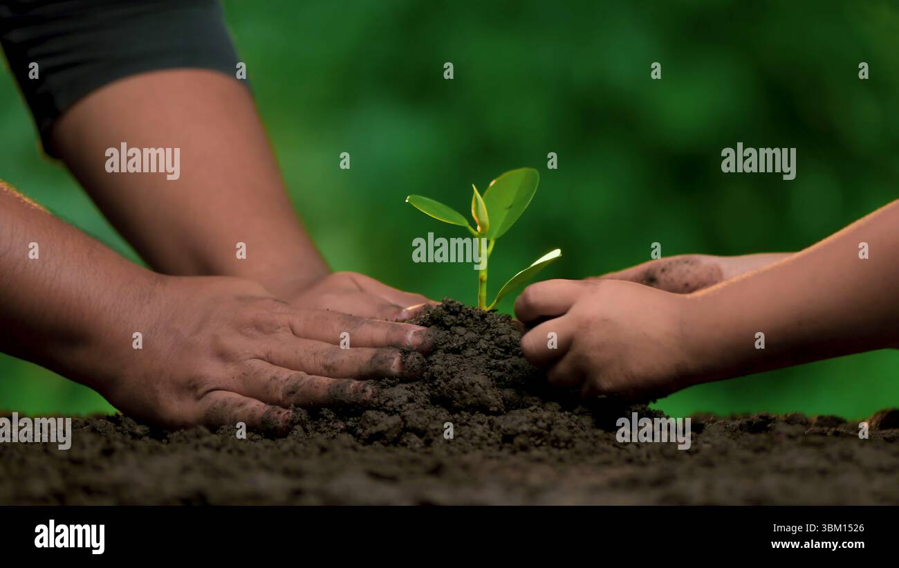 Planting trees, loving the environment and protecting nature Nourishing ...