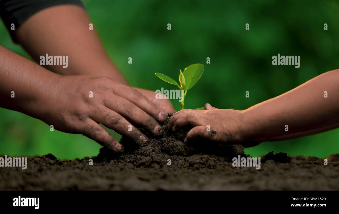 Planting trees, loving the environment and protecting nature Nourishing ...