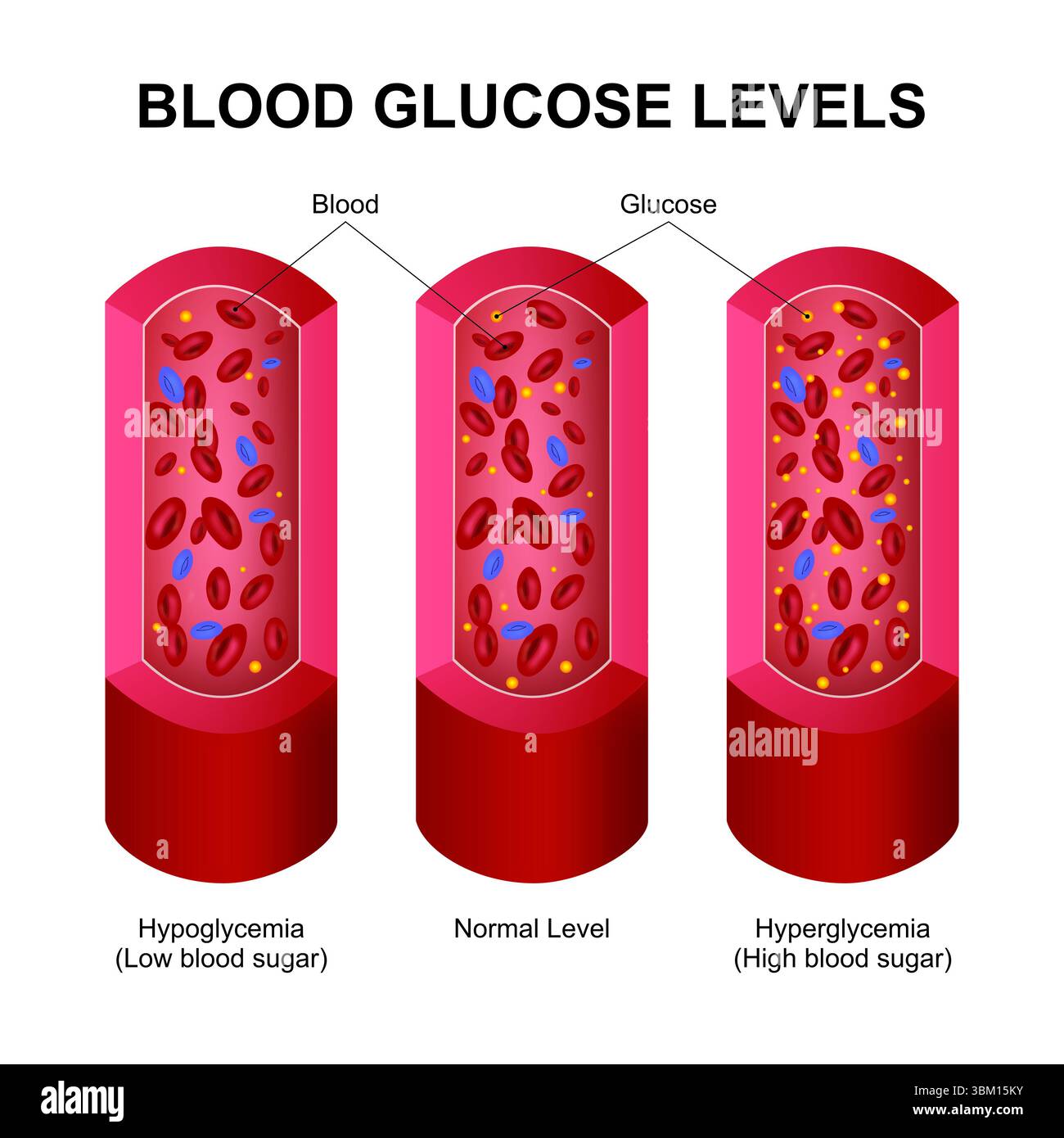 Glucometer syringe blood test Cut Out Stock Images & Pictures - Alamy