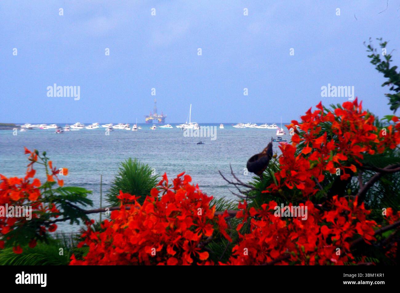 Summer scenery in Sanya City, southernmost China's Hainan Province, 21 ...