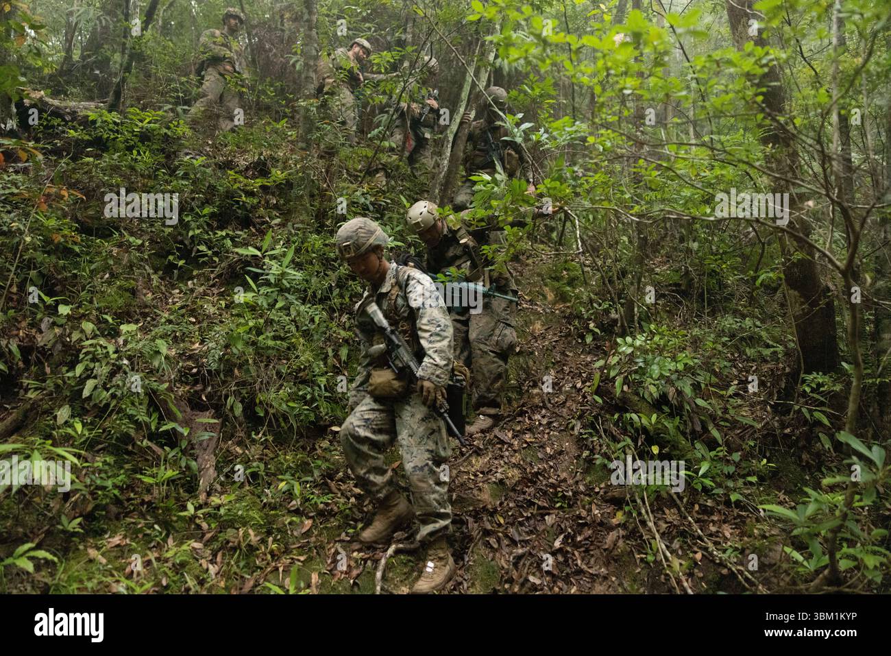 U.S. Marines hike through the jungle during the Jungle Leaders Course 2 ...