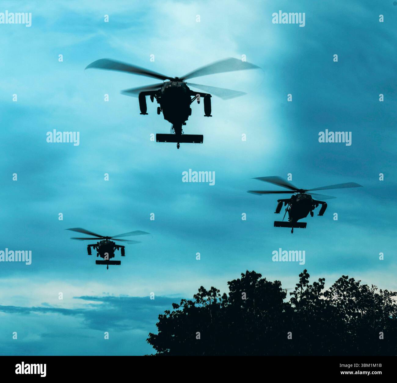 UH-60 Black Hawk helicopters from the Transformation in Contact enabled ...