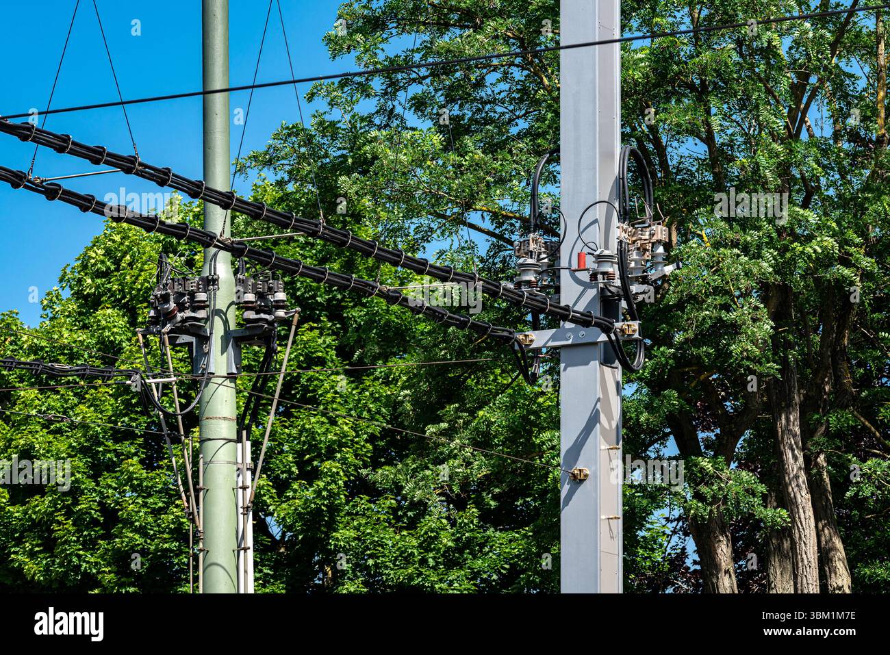 Utility poles and tram power lines are visible against a clear blue sky ...