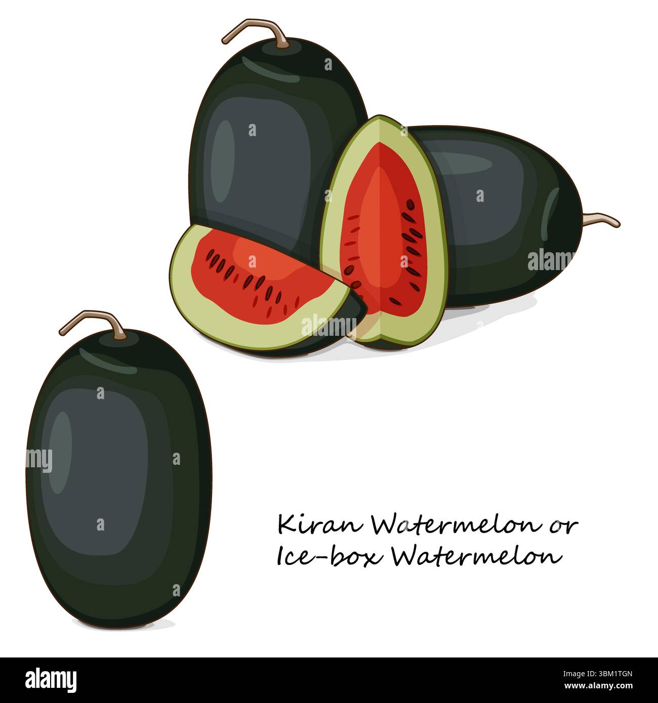 Whole and chopped Kiran Watermelons. Ice-box Watermelon. Citrullus ...