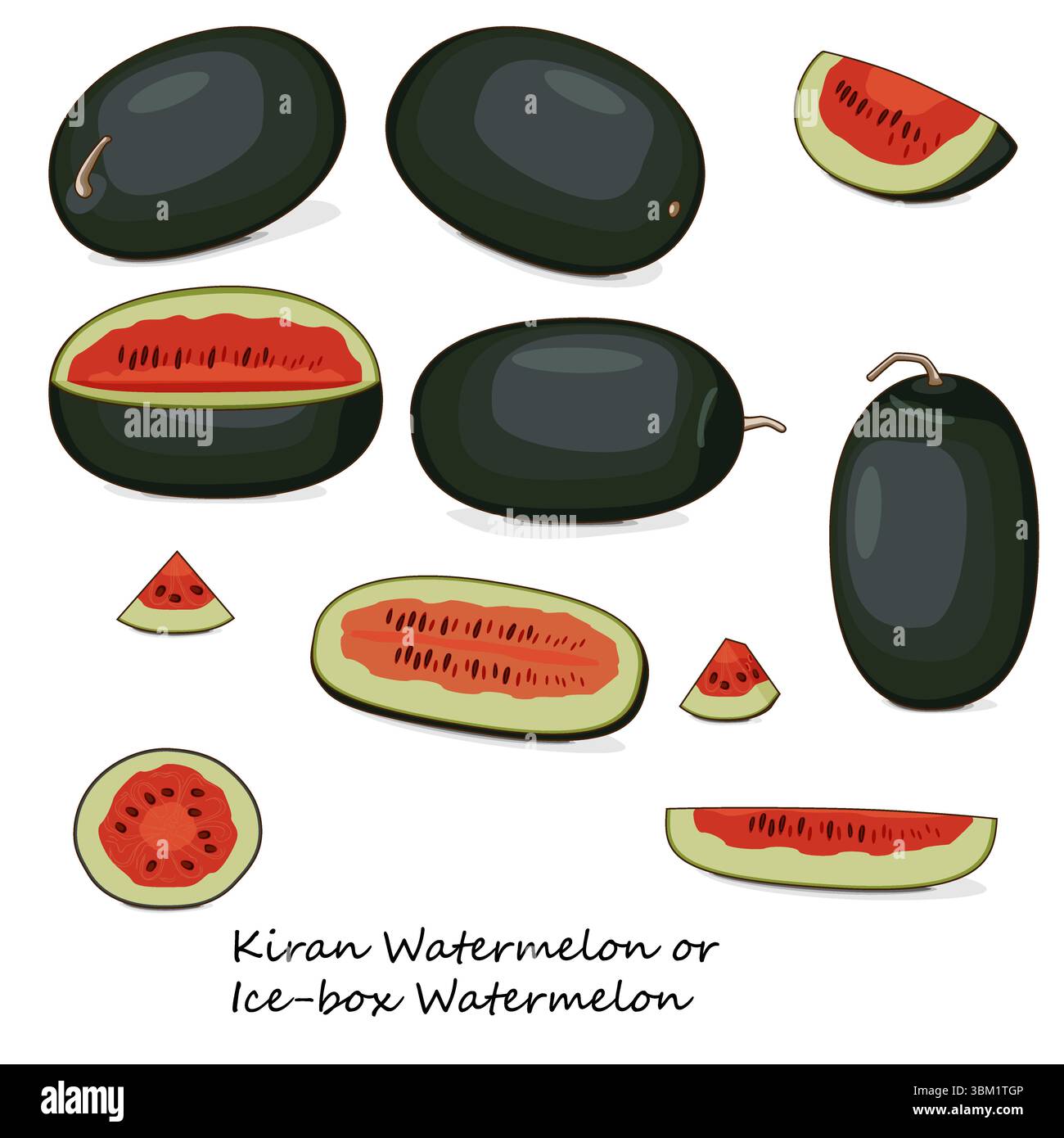 Set of Kiran Watermelons. Ice-box Watermelon. Citrullus lanatus. Fruits ...